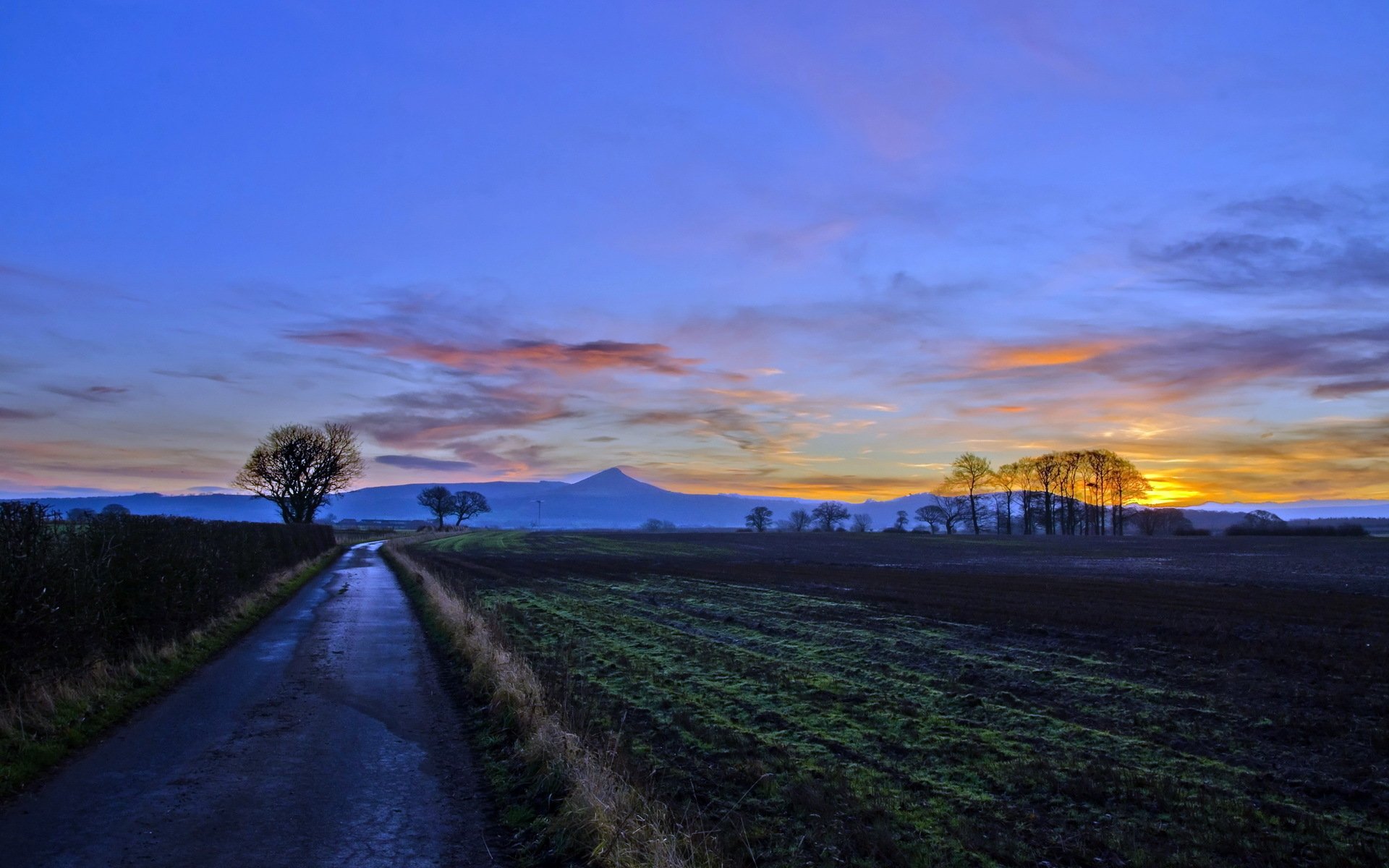 Serene Pathway at Dawn – HD Nature Wallpaper
