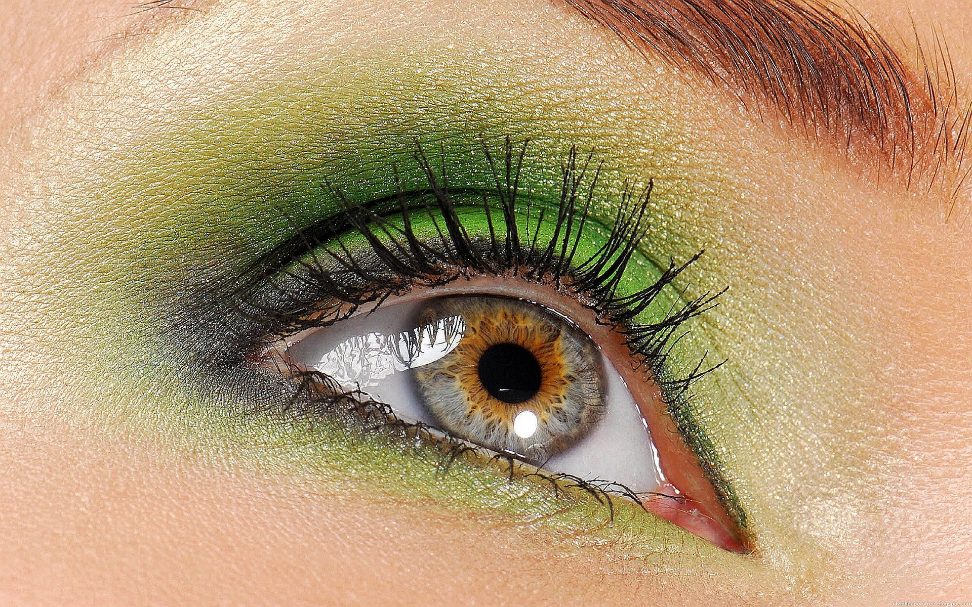 Download Woman Eye HD Wallpaper