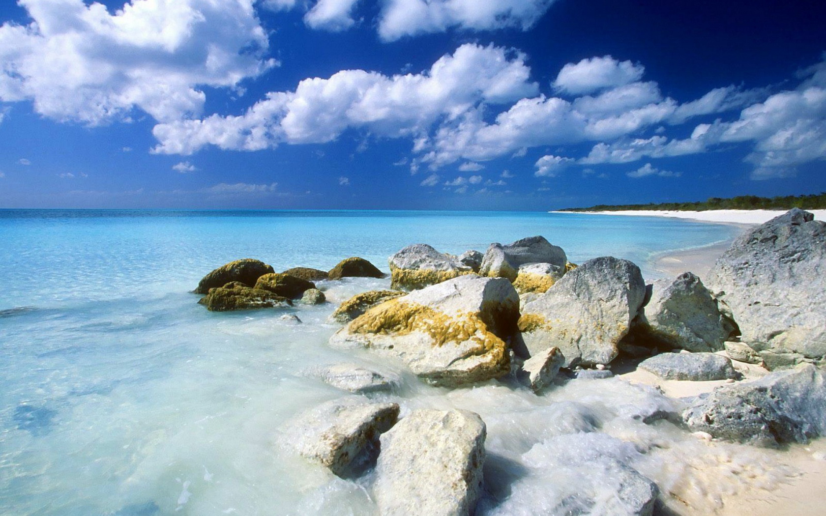 Download Nature Beach Wallpaper