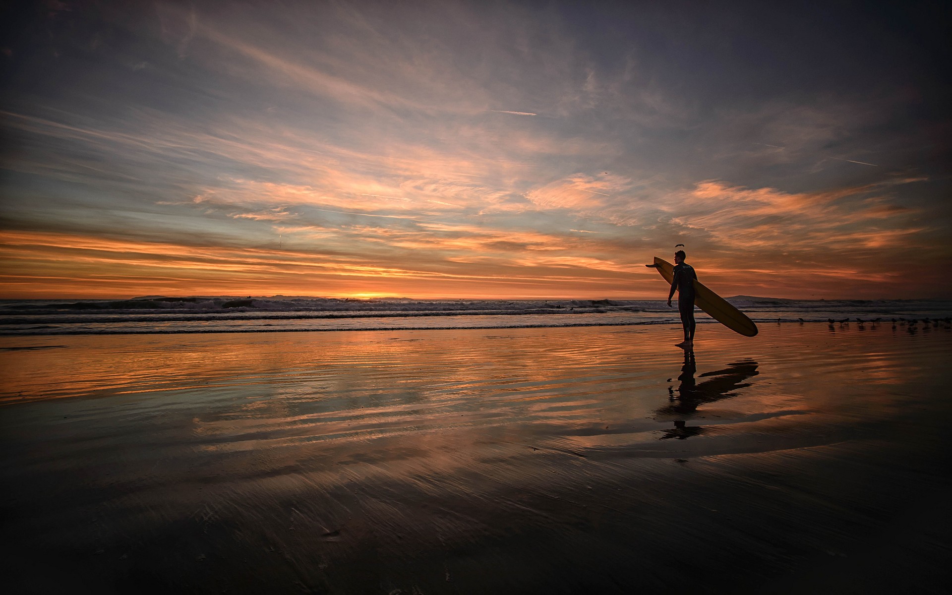 Surfing HD Wallpaper