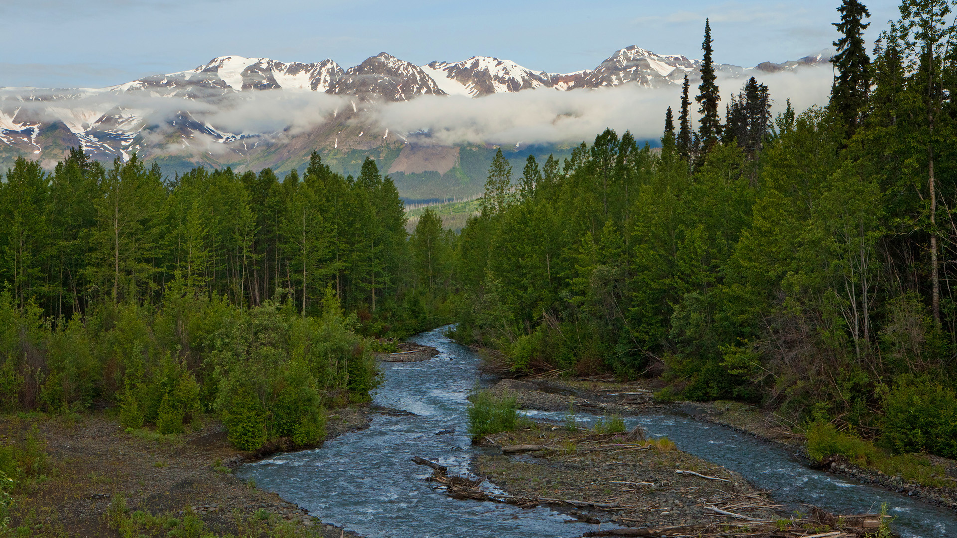 Download Nature River HD Wallpaper