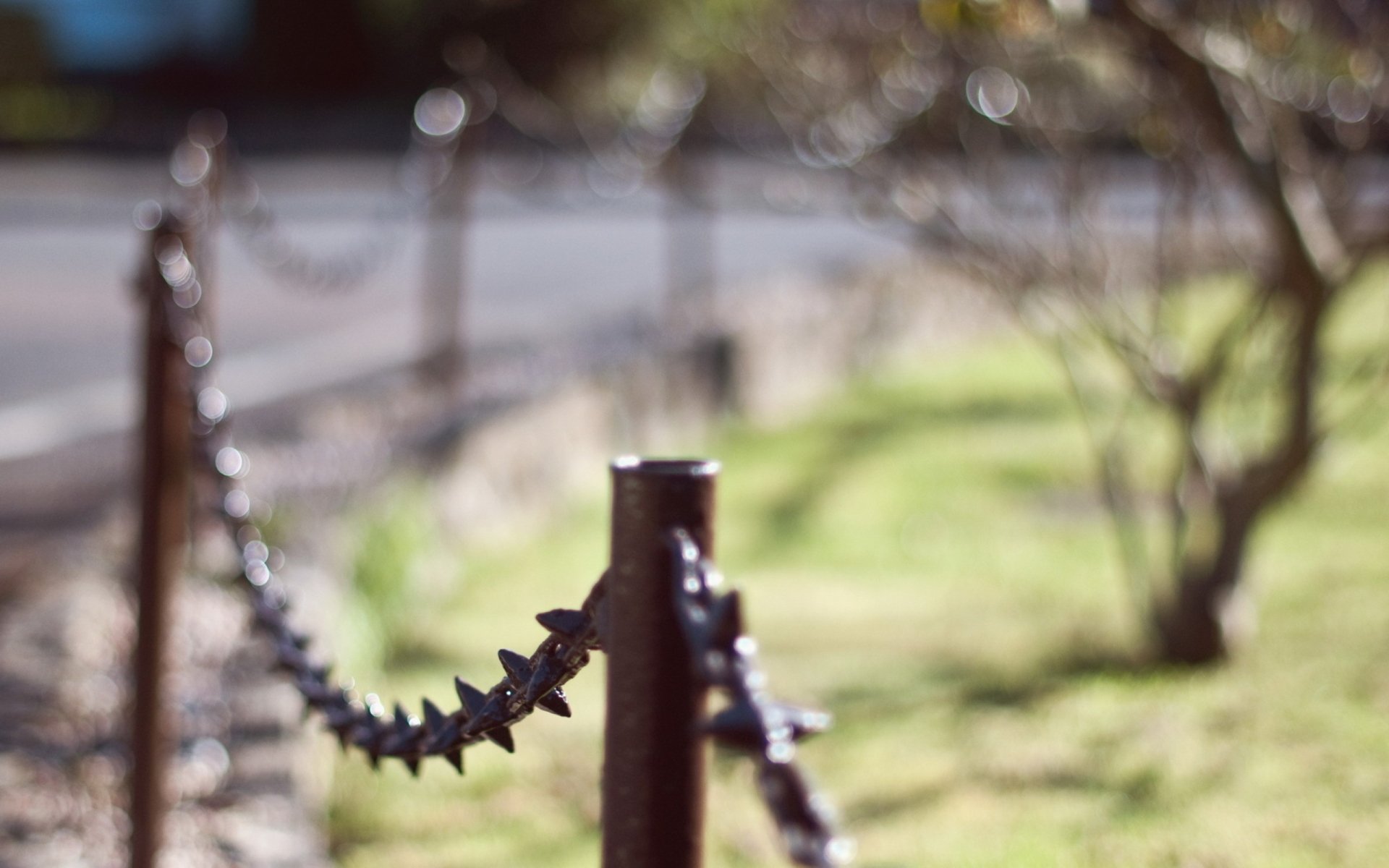 Download Man Made Fence HD Wallpaper