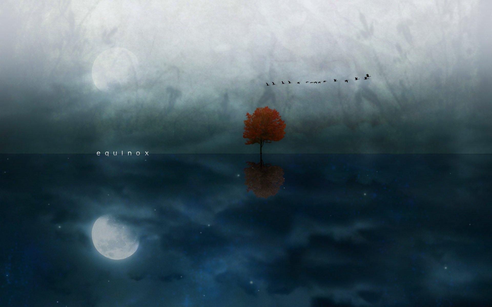 Serene Reflections: Artistic Tree HD Wallpaper | 1920x1200 | Wallpaper ...