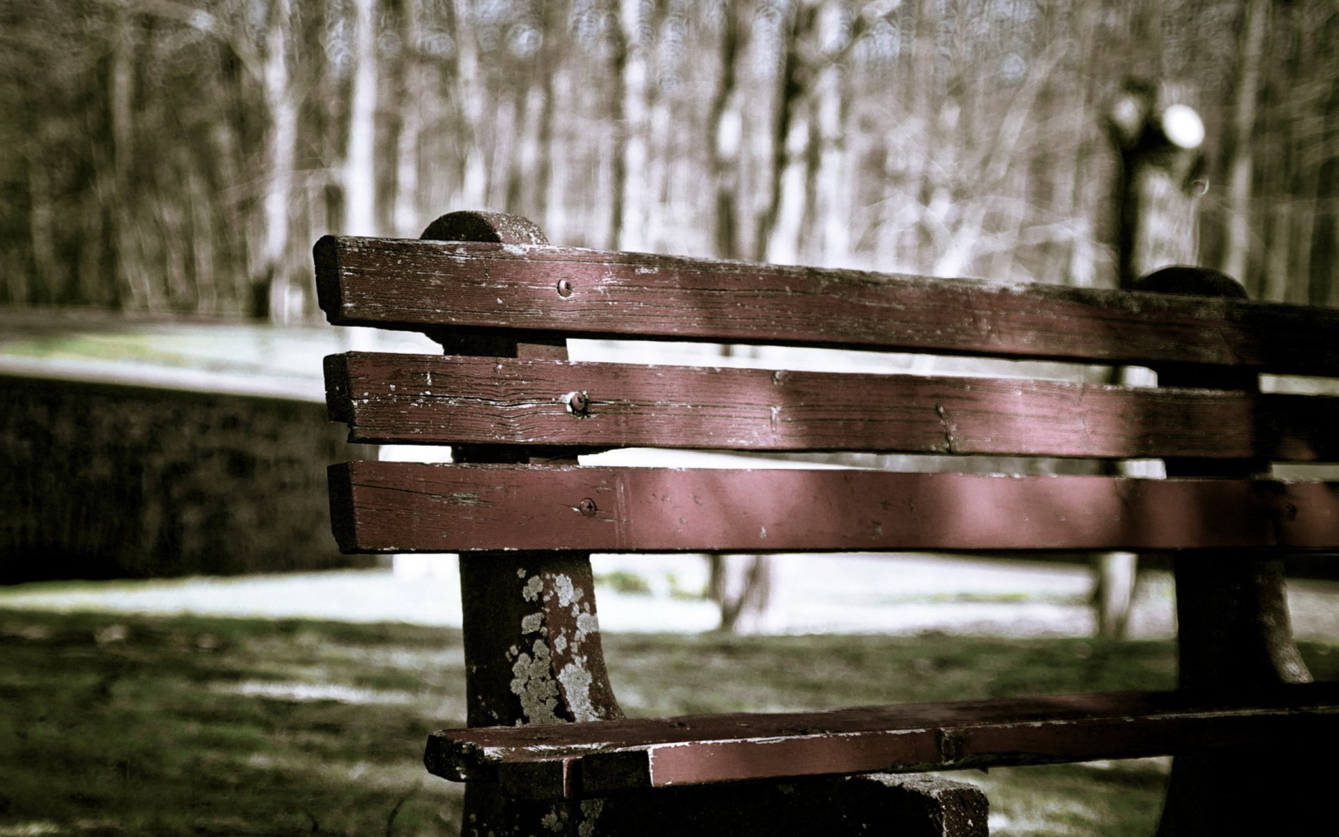 Download Man Made Bench HD Wallpaper