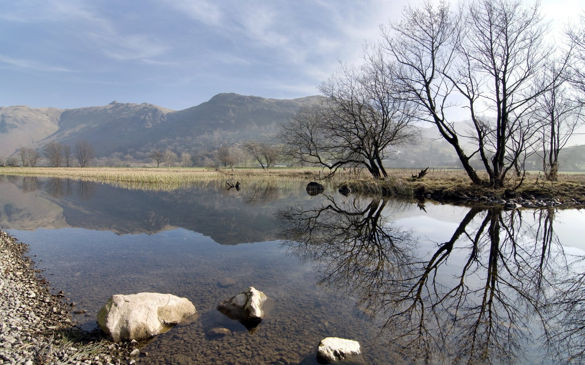 Serene Nature Reflection HD Wallpaper | 2560x1600 | Wallpaper Abyss