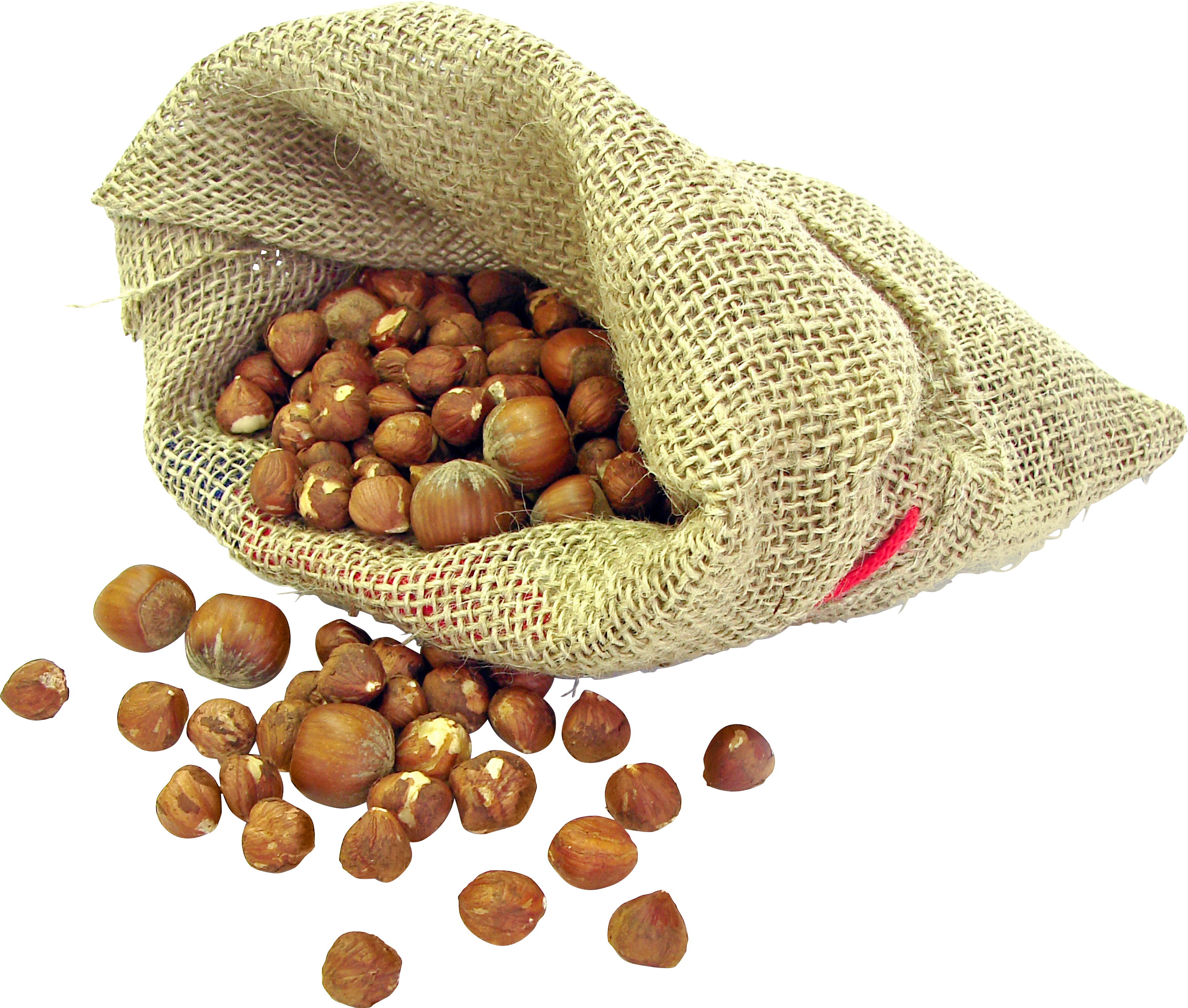 Hazelnut HD Wallpaper