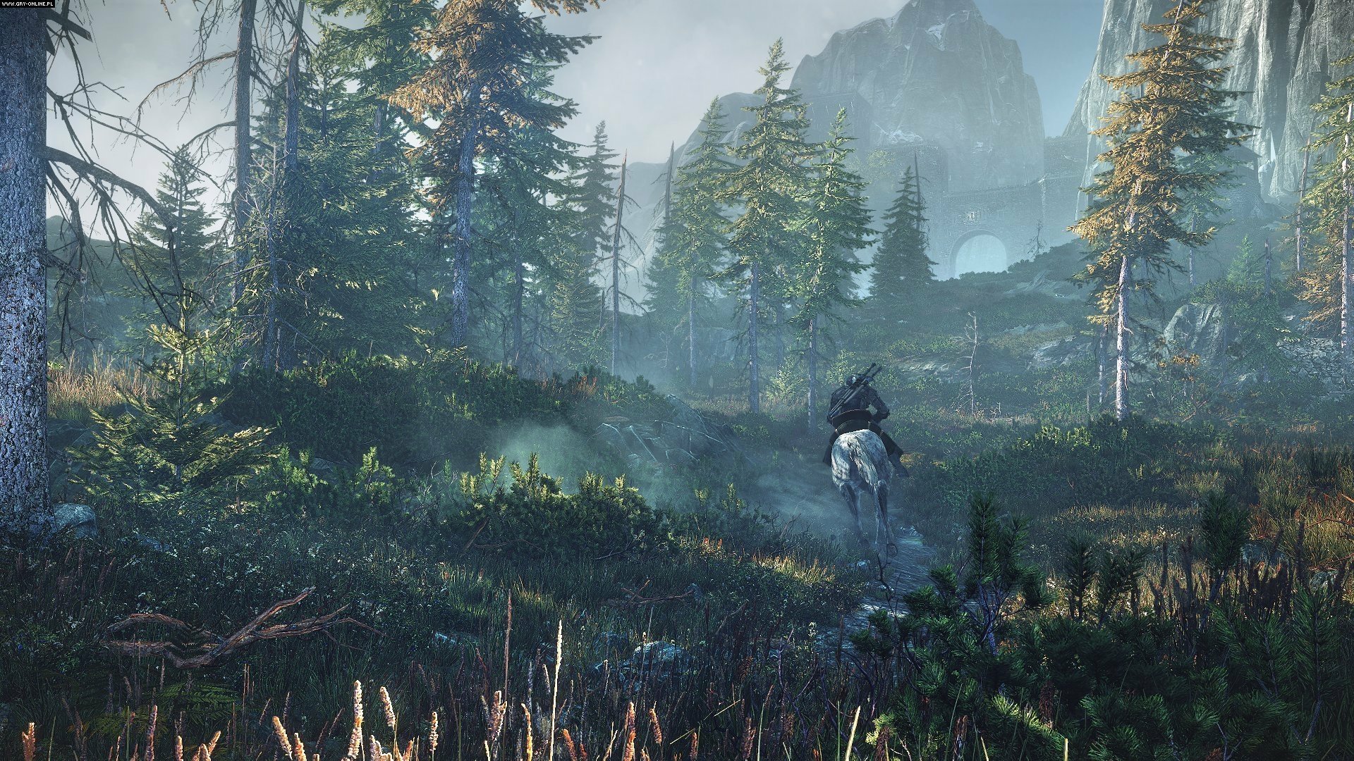 The Witcher 3 HD: Wild Hunt Epic Forest Adventure Wallpaper