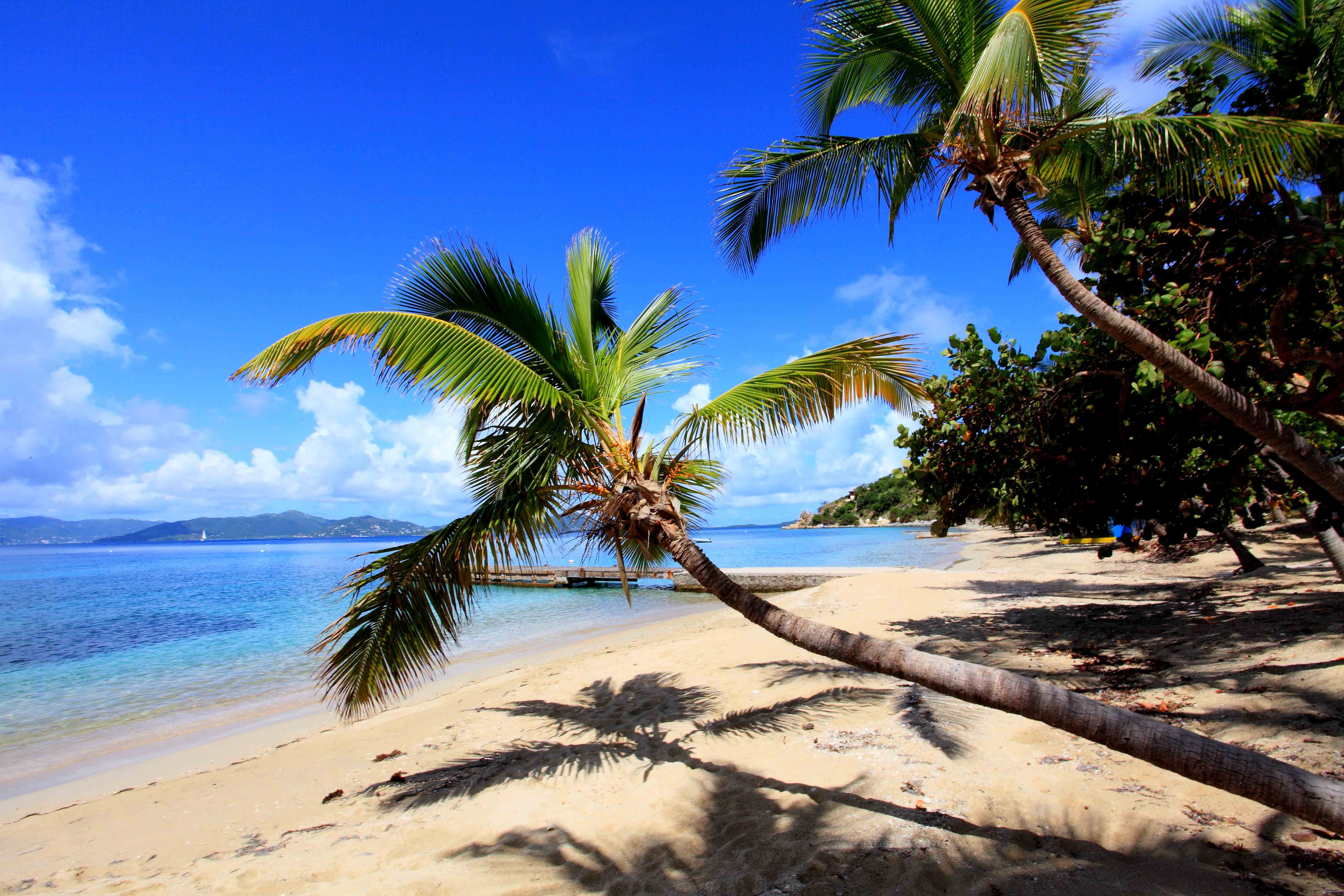 4K Ultra HD Tropical Beach Paradise: Nature’s Ultimate Escape