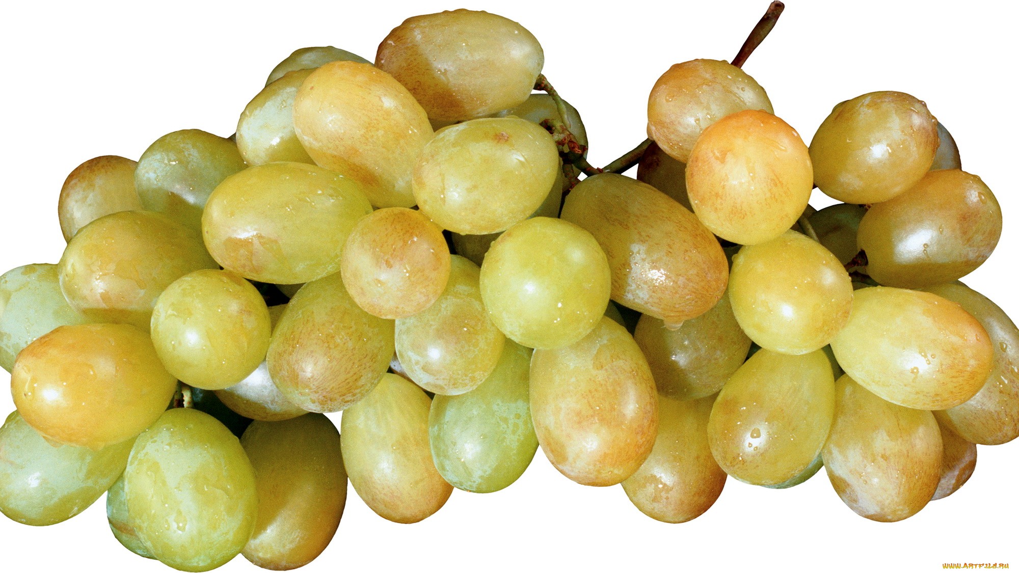 Download Food Grapes HD Wallpaper
