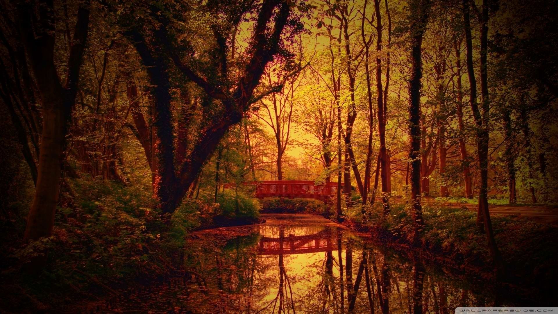 Autumn Glow: Scenic Man-Made Bridge HD Wallpaper