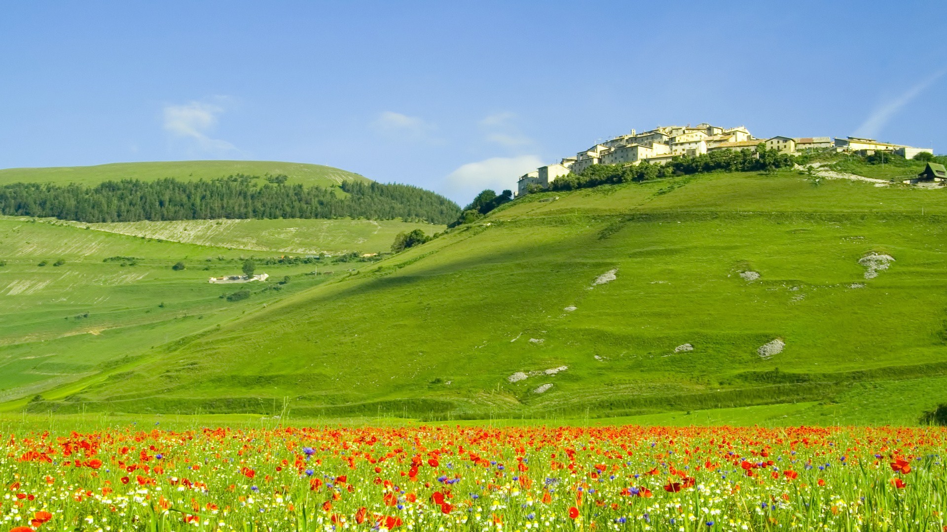 Stunning HD Landscape Photography: Vibrant Hillside and Wildflower ...