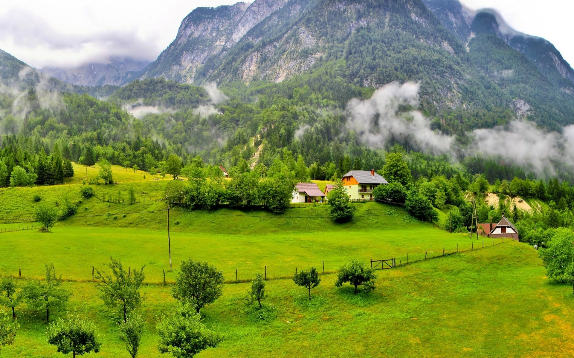 Serene Landscape: Captivating HD Wallpaper for Nature Lovers ...