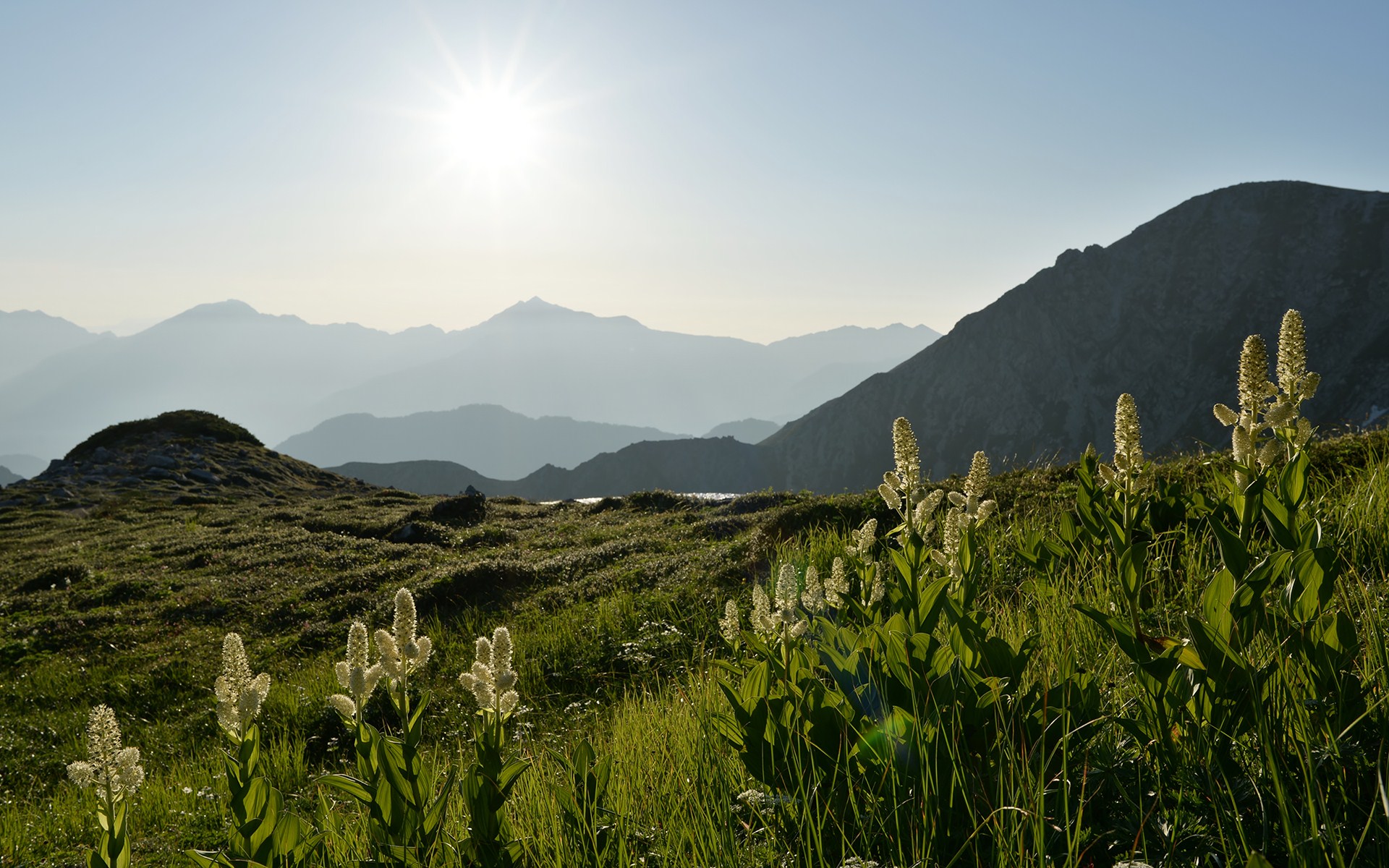 Download Nature Sunrise HD Wallpaper