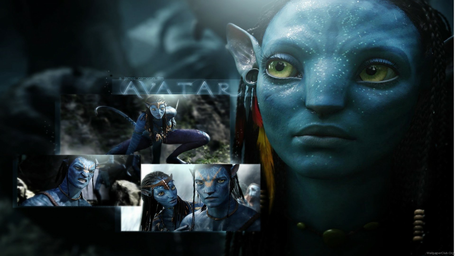 Download Movie Avatar HD Wallpaper
