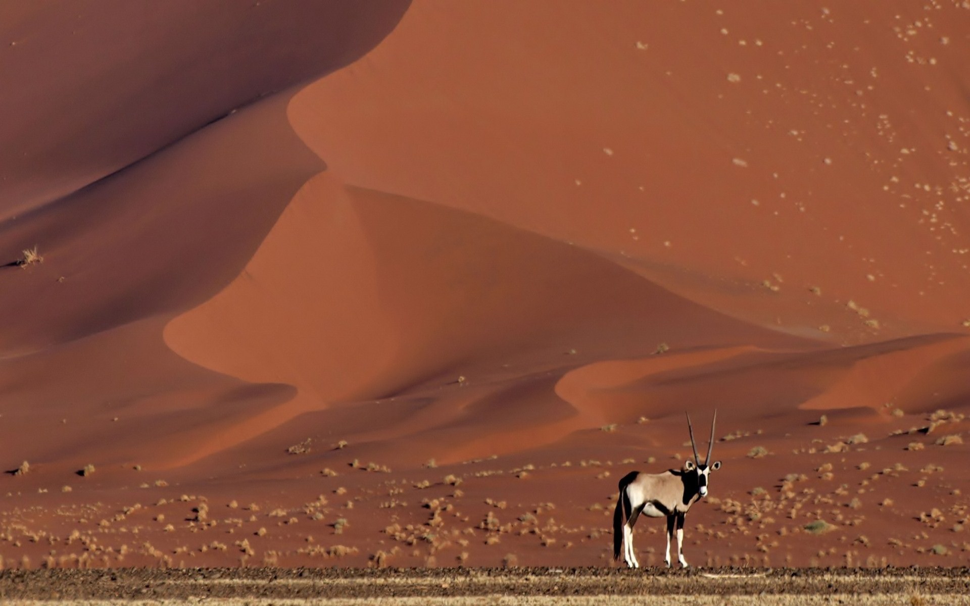 Serene Desert Beach Landscape HD Wallpaper