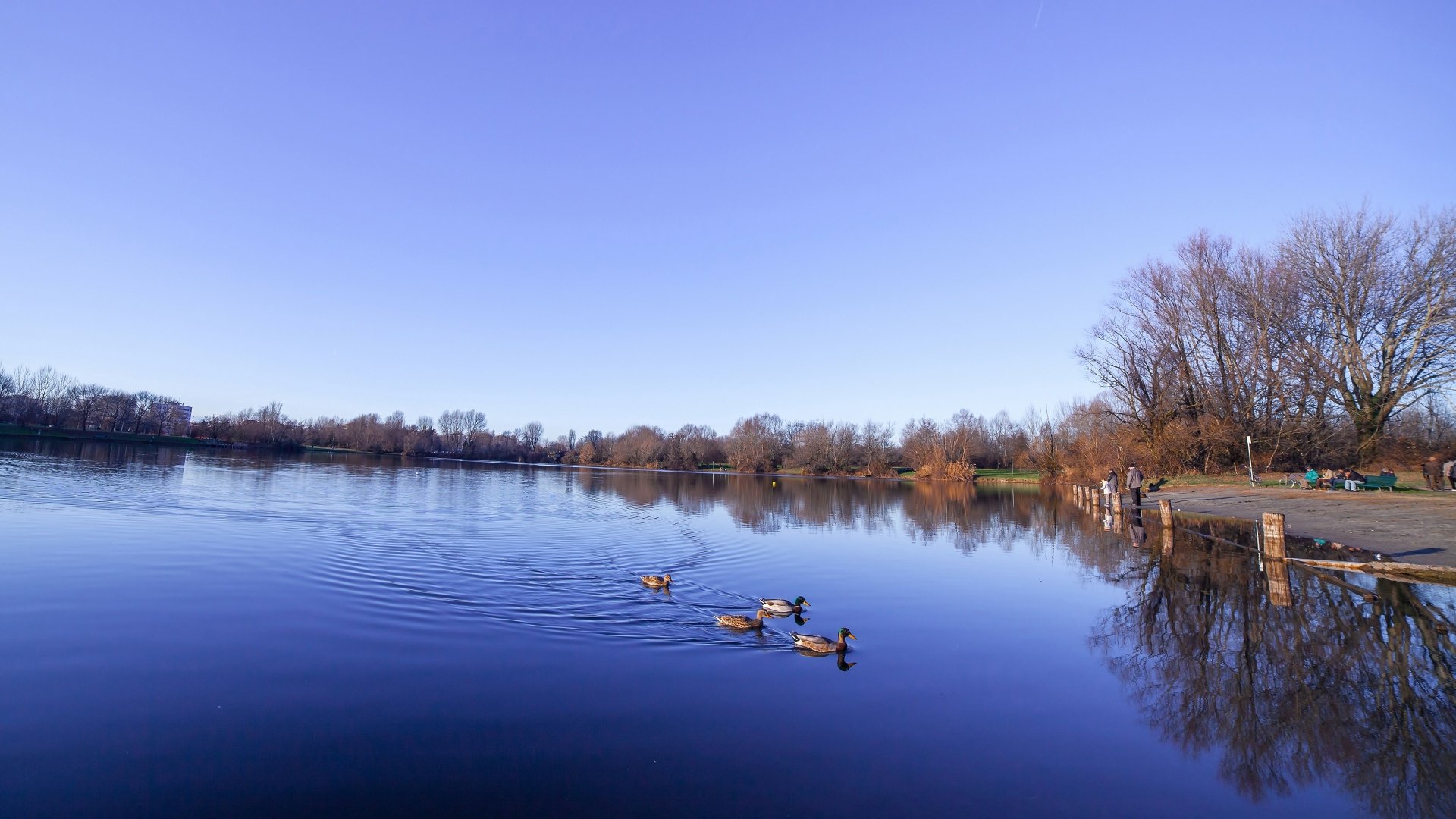 Serene Nature Lake - 4K Ultra HD Wallpaper | 3840x2160 | Wallpaper Abyss