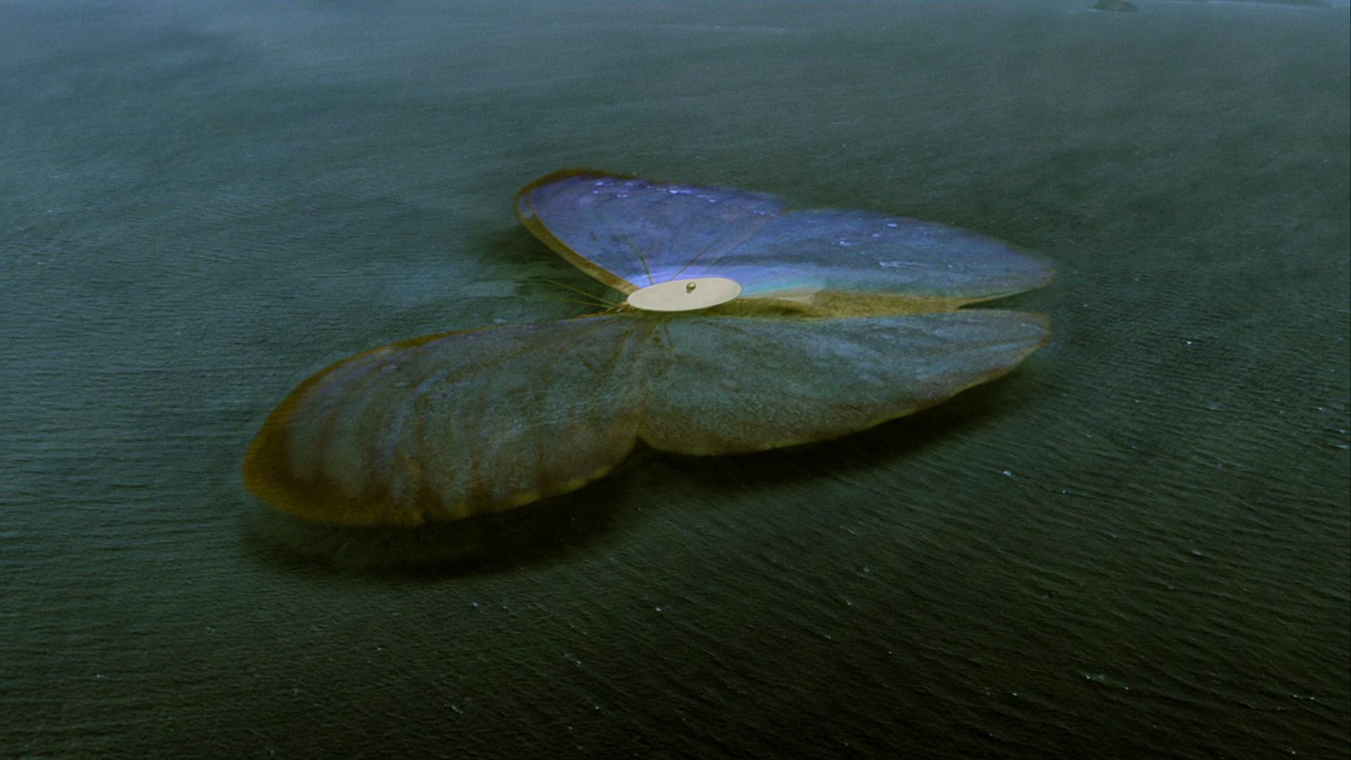 Download Movie The Fall HD Wallpaper