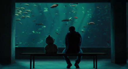 Ted (Movie Character) - Desktop Wallpapers, Phone Wallpaper, PFP, Gifs ...