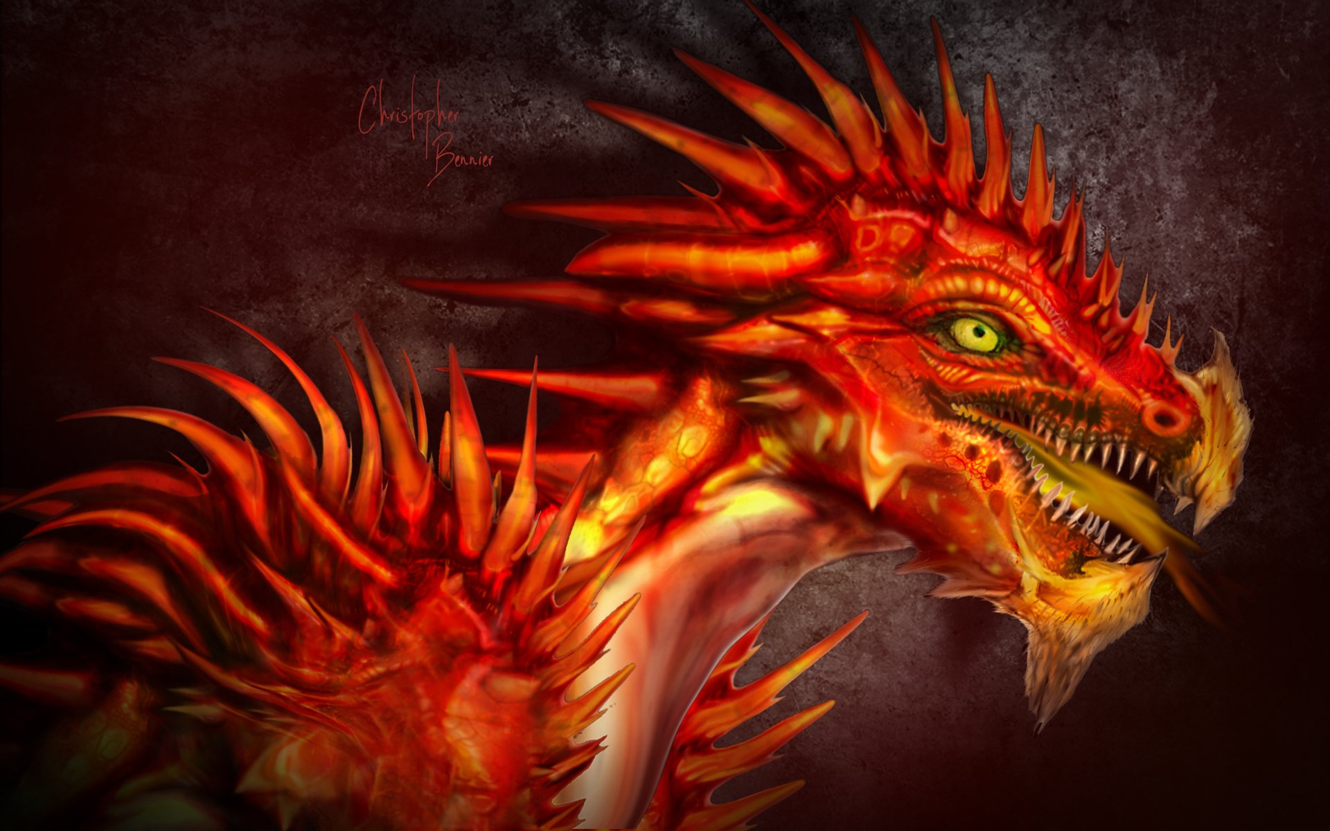 Fantasy Dragon HD Wallpaper by Chris-Bennier