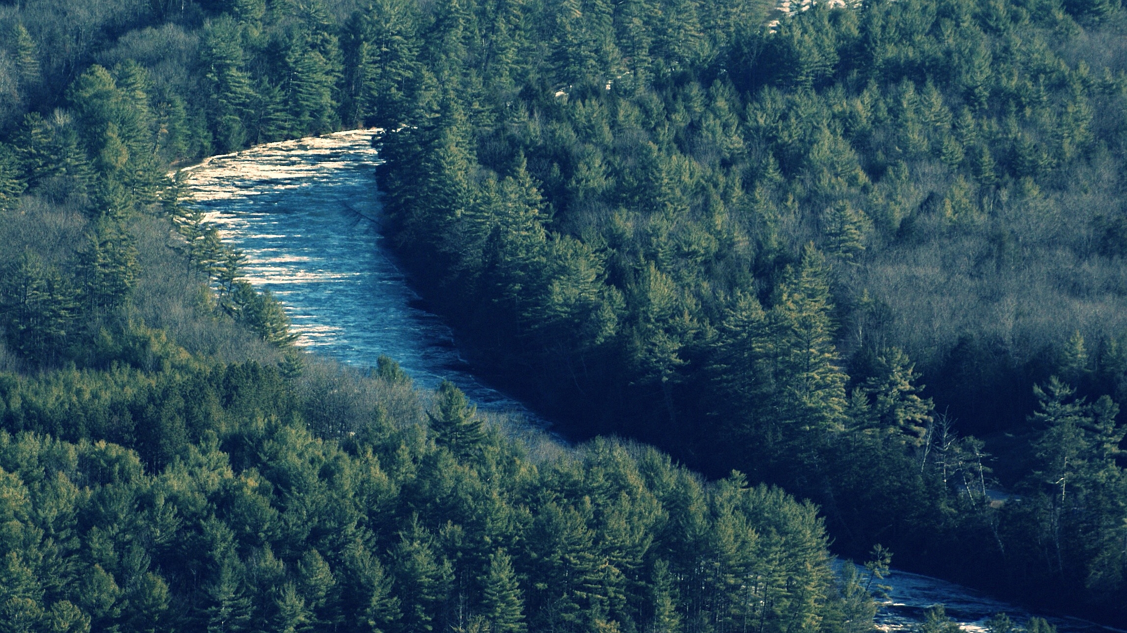 Download Nature River HD Wallpaper