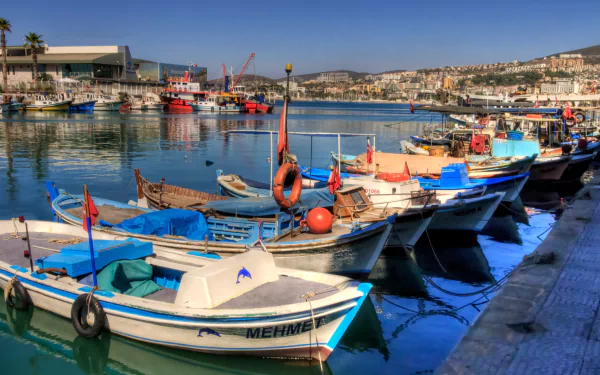 [230+] Harbor Wallpapers