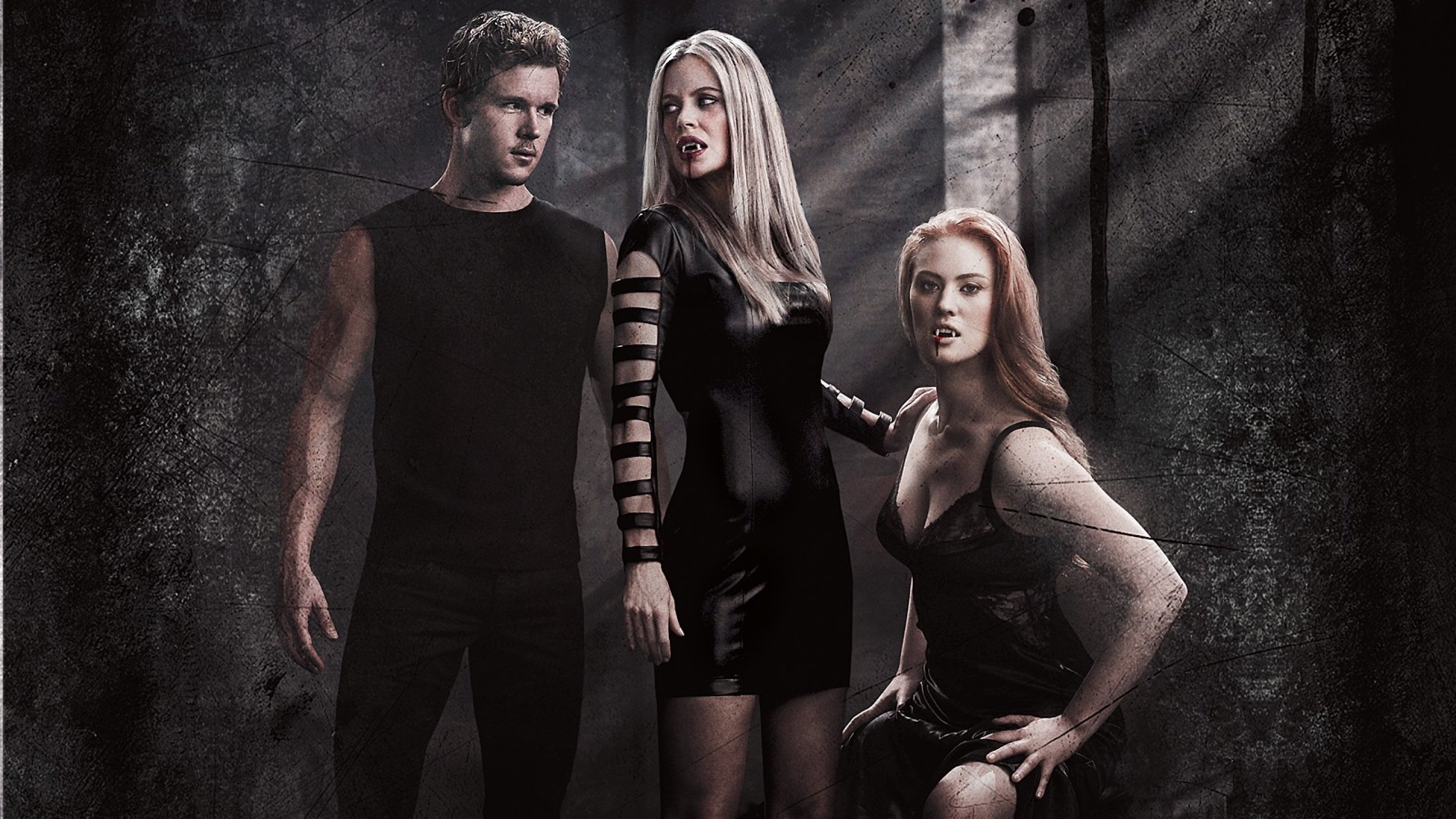 TV Show True Blood HD Wallpaper
