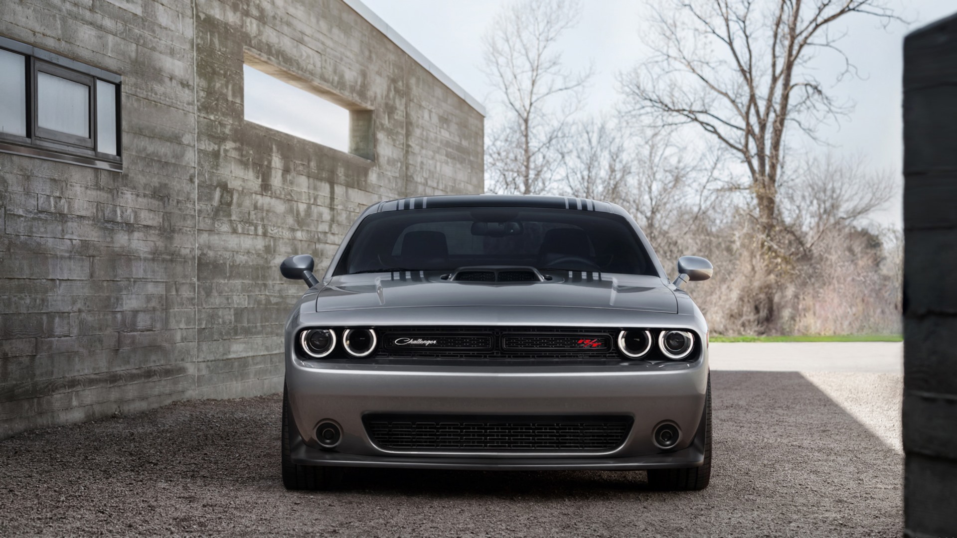 Download Vehicle Dodge Challenger HD Wallpaper