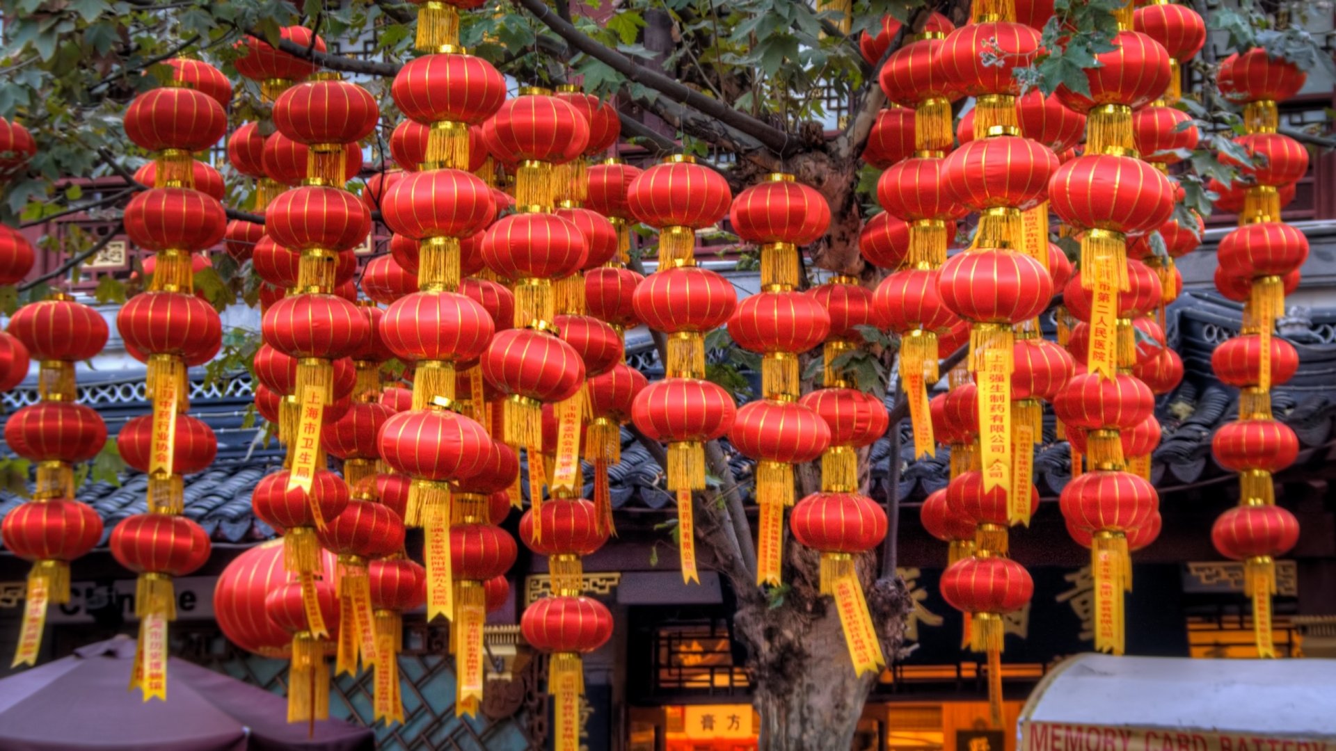 Download Man Made Lantern HD Wallpaper | 2560x1440 | Wallpaper Abyss