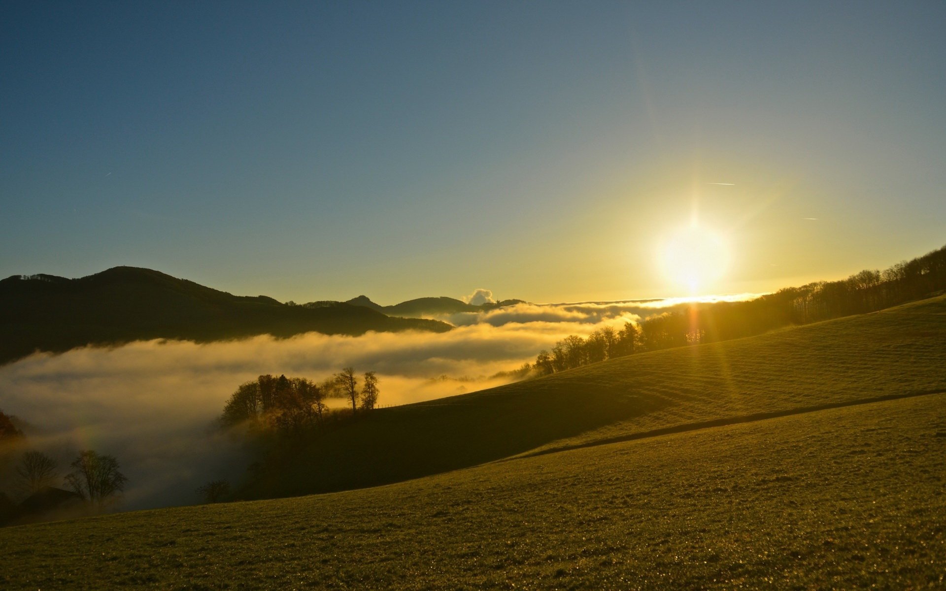 Download Nature Sunrise HD Wallpaper