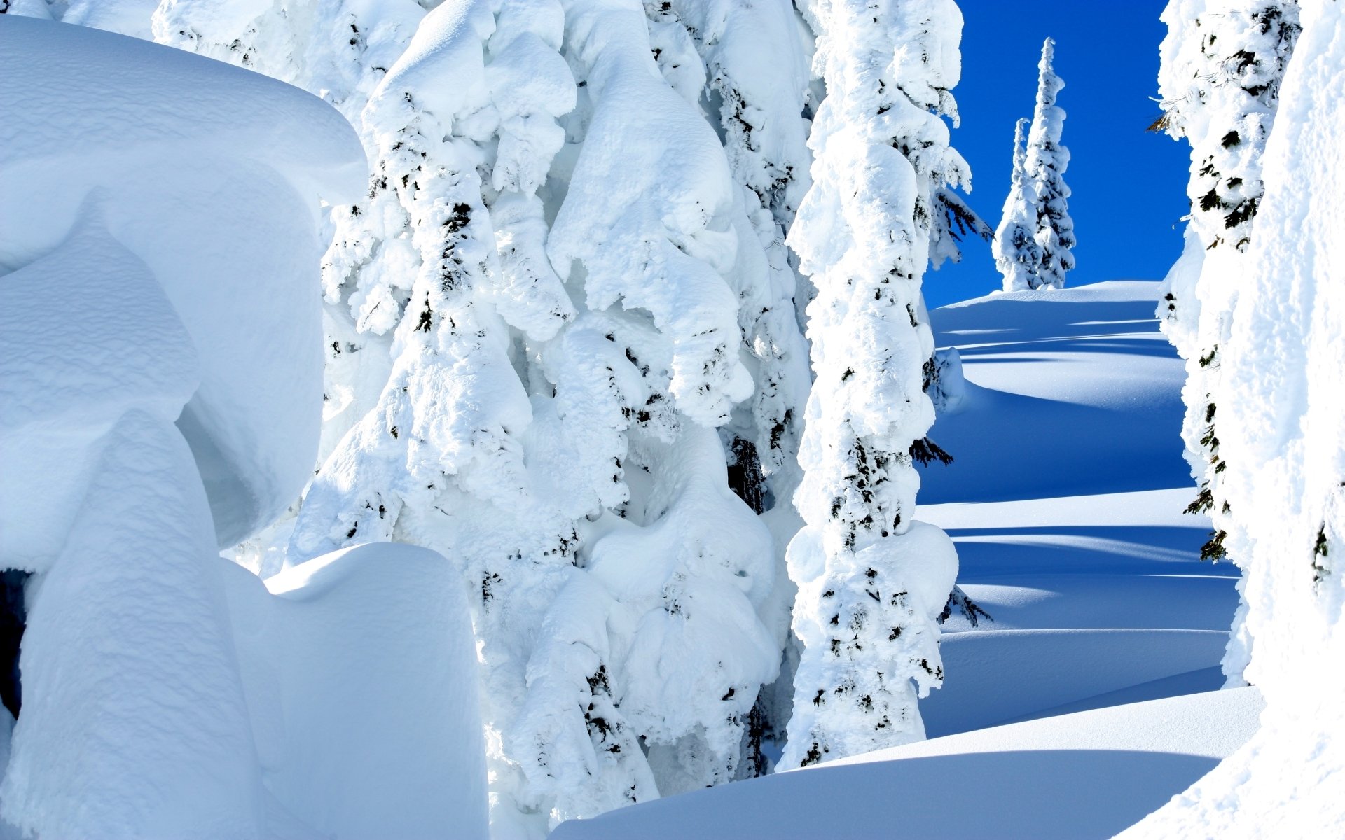 Ice Snow Wallpaper 1920x1200