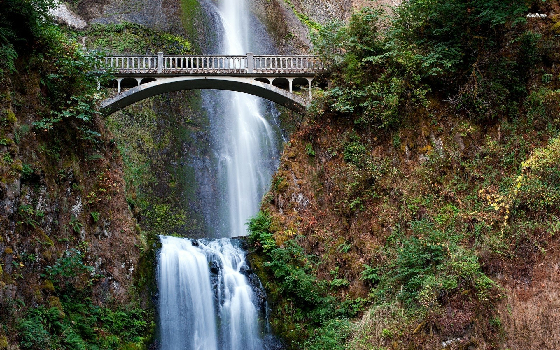 Download Bridge Nature Waterfall HD Wallpaper
