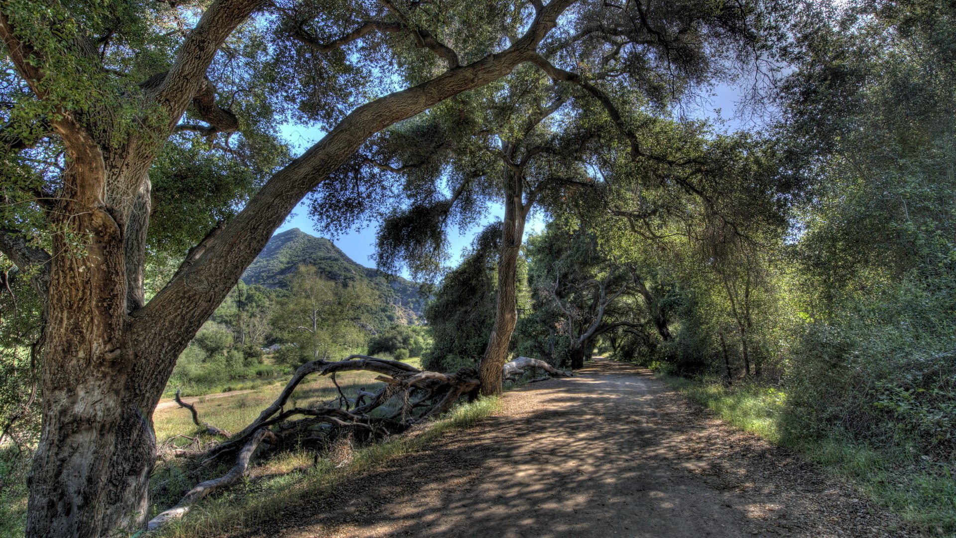 Download Man Made Path HD Wallpaper | 1920x1080 | Wallpaper Abyss