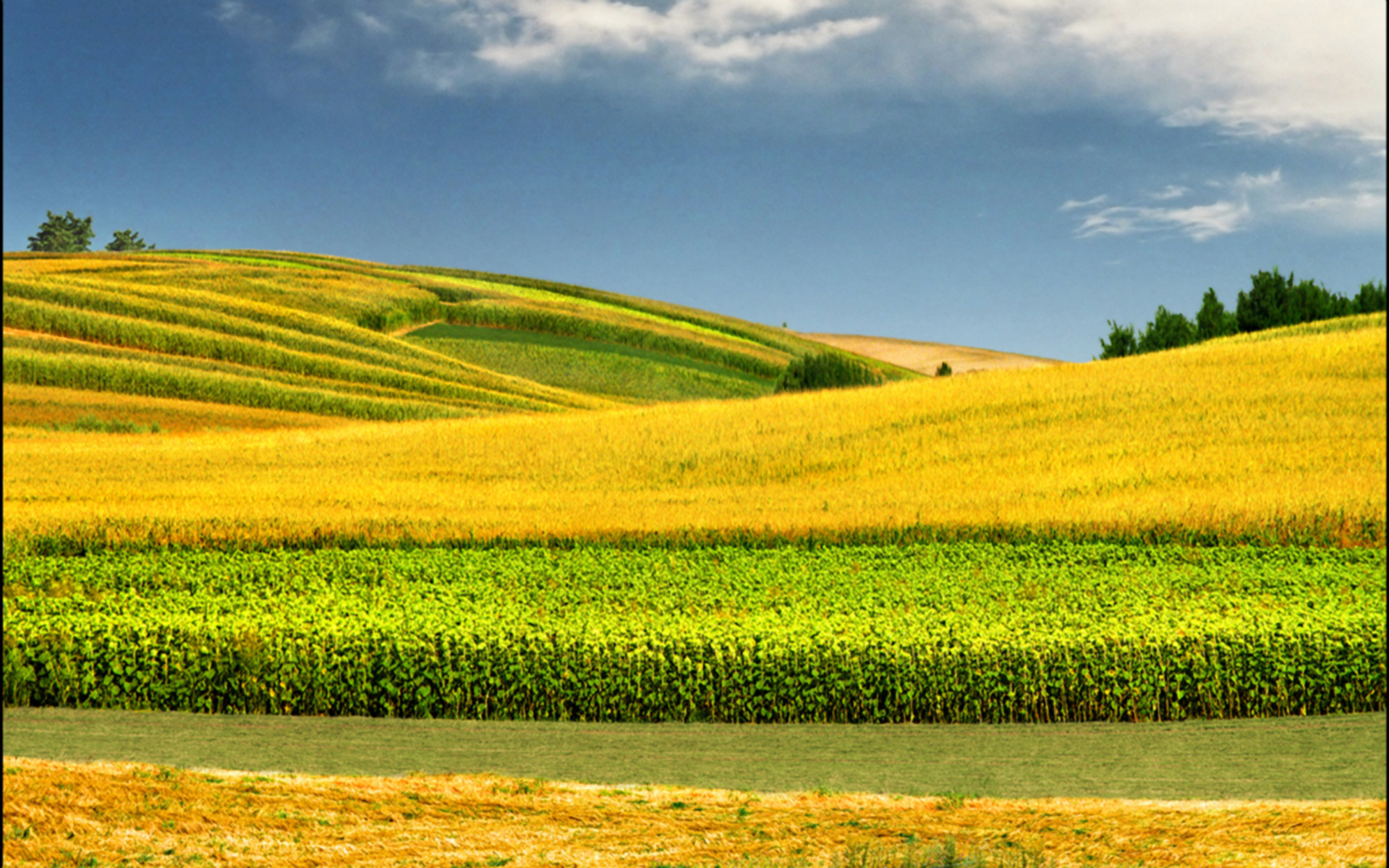 Download Nature Landscape HD Wallpaper