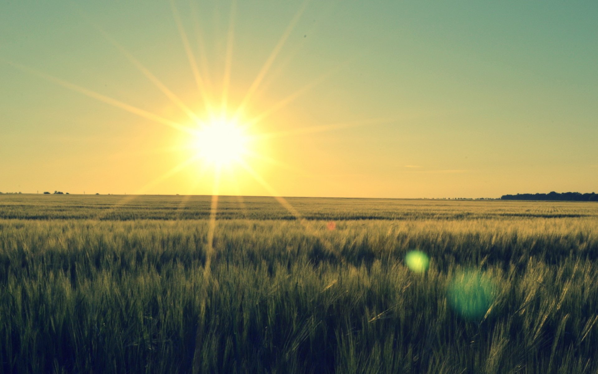 Nature Sunbeam HD Wallpaper