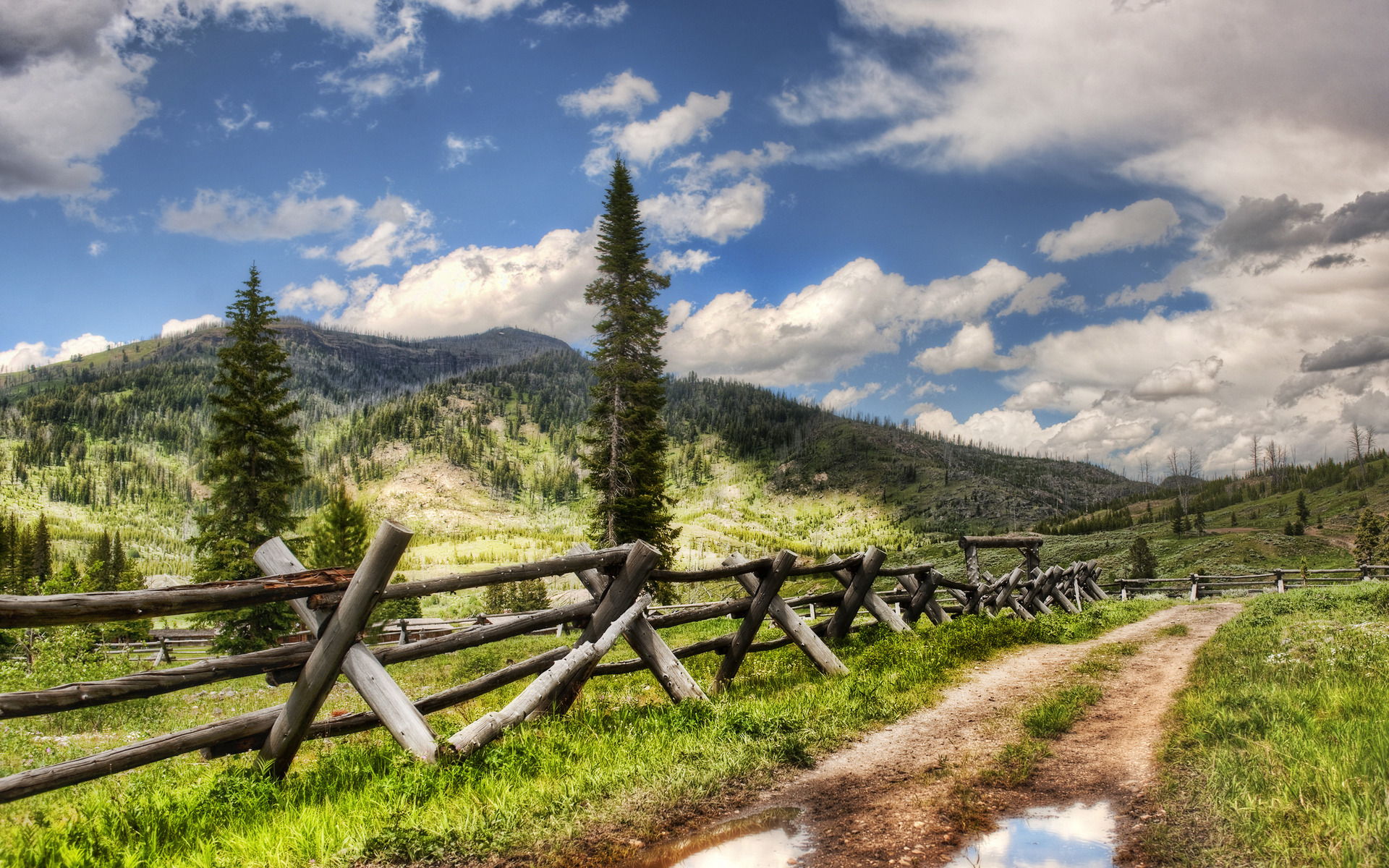 Download Man Made Fence HD Wallpaper