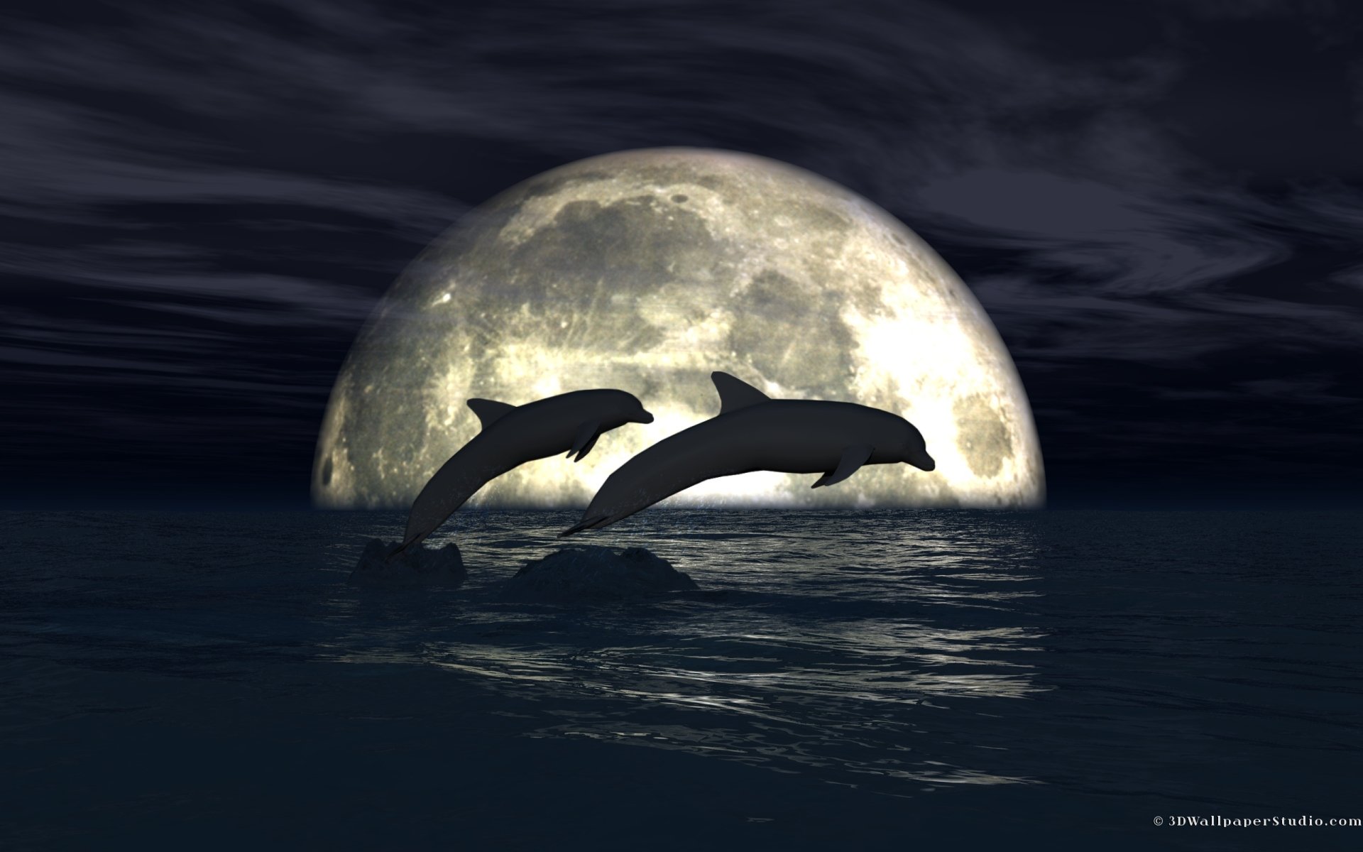Moonlit Dolphins — 2K Quad HD Wallpaper | 2560x1600 | Wallpaper Abyss