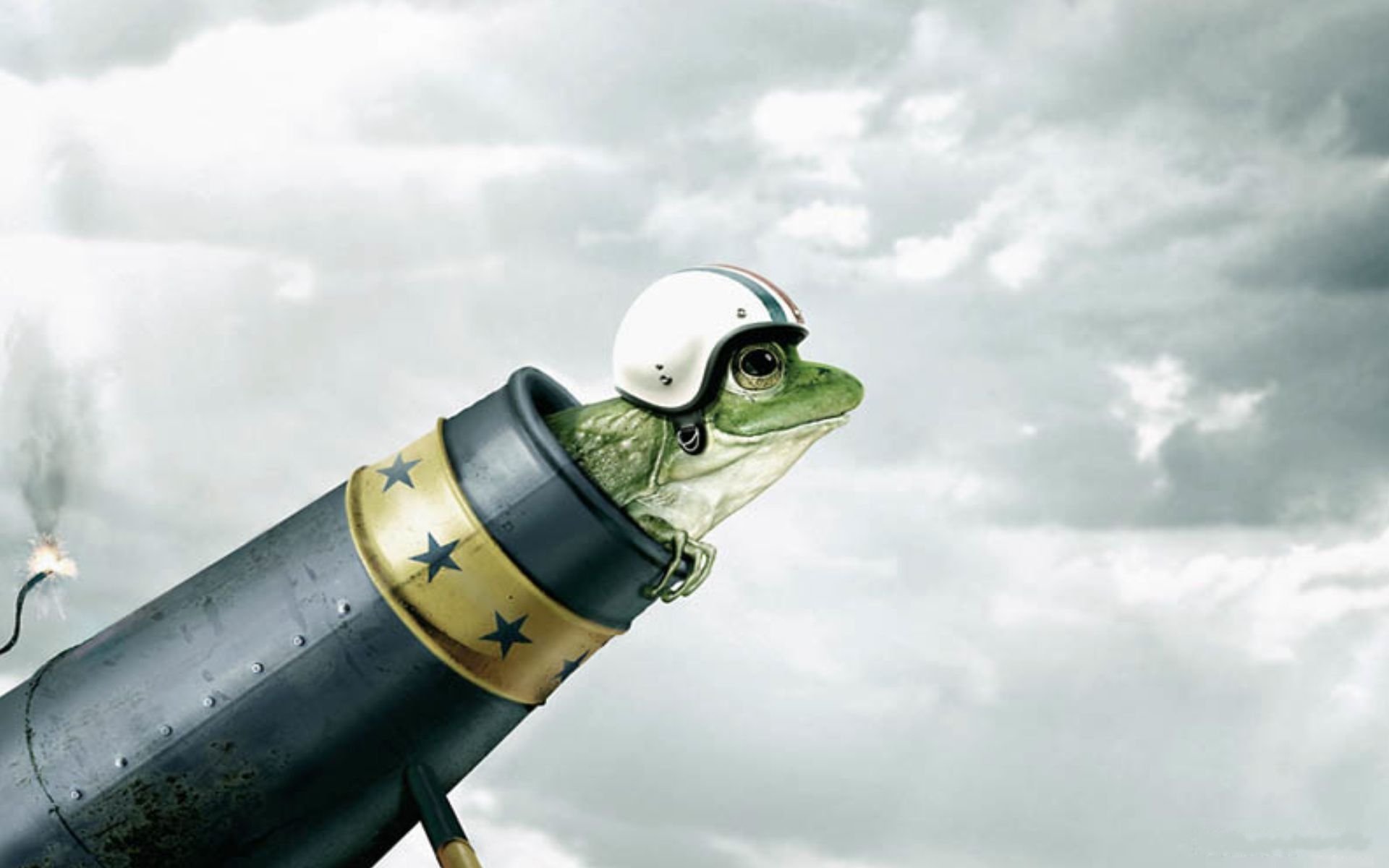 Frog cannonball