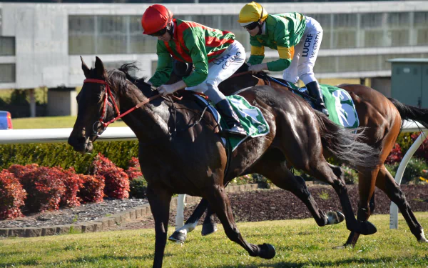 Thrilling Horse Racing Action – HD Sports Wallpaper