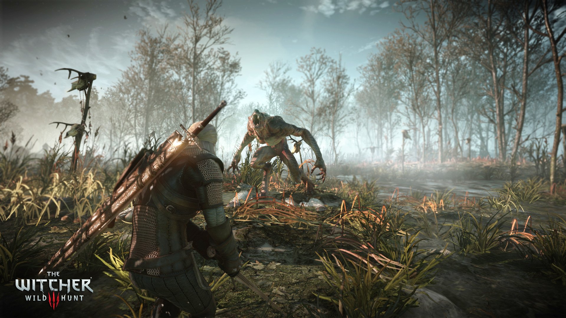 Download The Witcher Video Game The Witcher 3: Wild Hunt HD Wallpaper