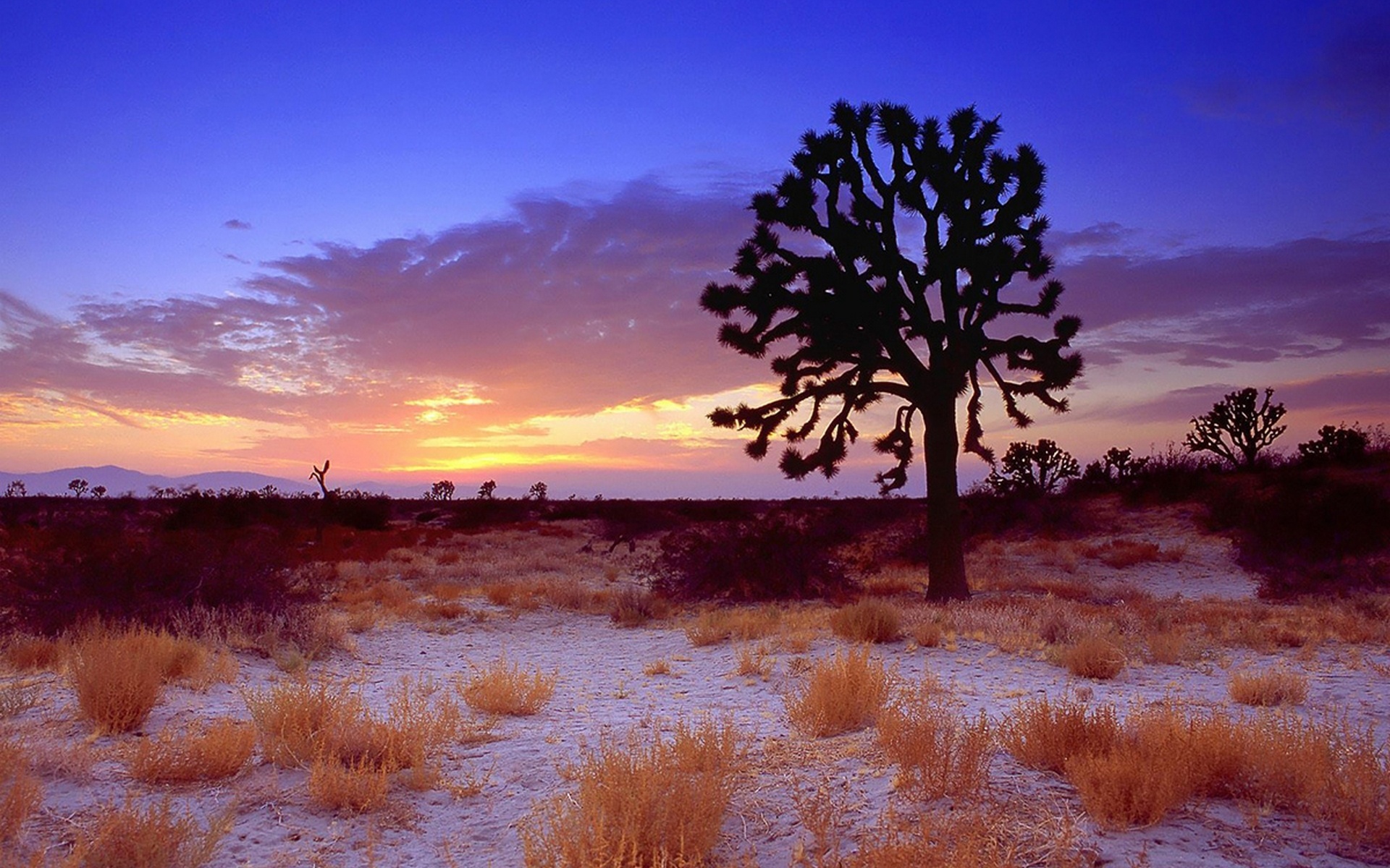 Download Nature Desert HD Wallpaper