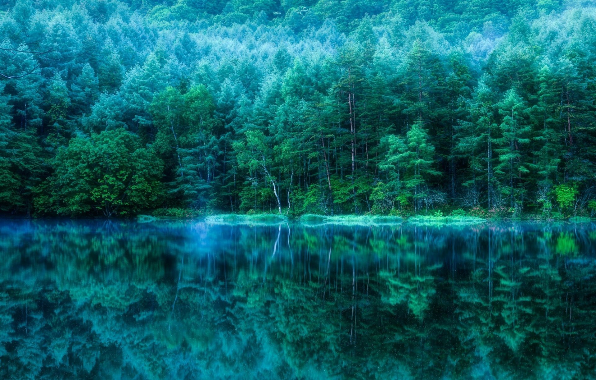Enchanted Japanese Forest Reflection HD Wallpaper by Hidetoshi Kikuchi