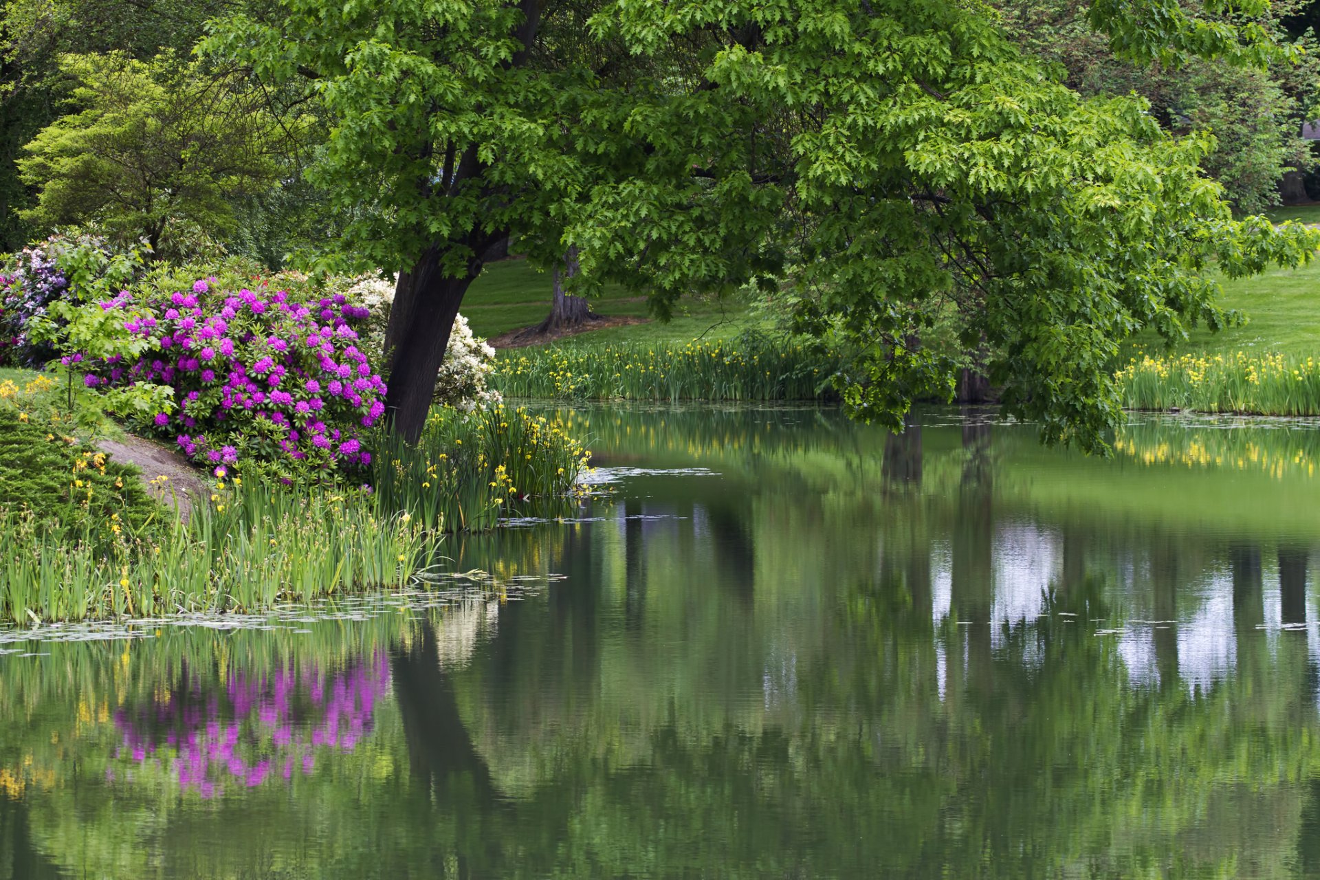 Tranquil Reflections: An HD Wallpaper of a Serene Garden Landscape
