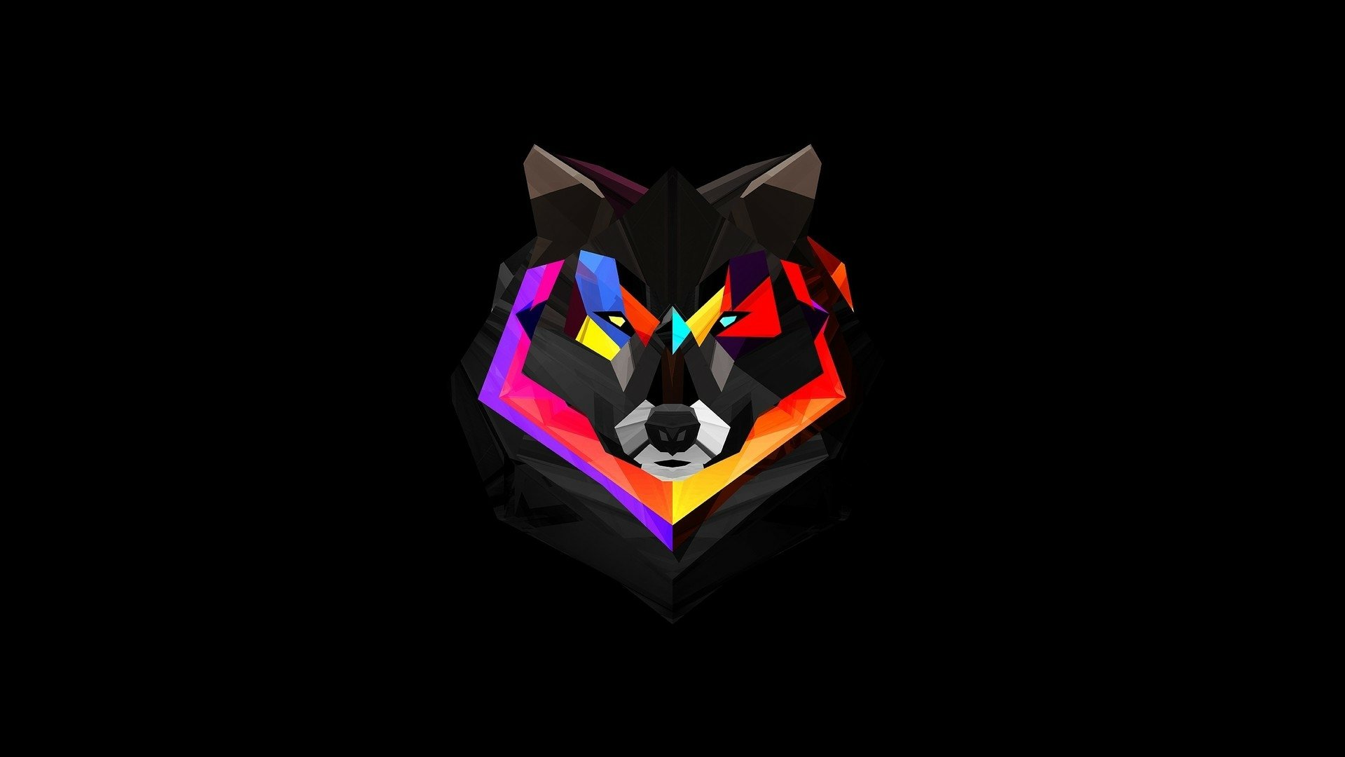 Vibrant Wolf HD Wallpaper