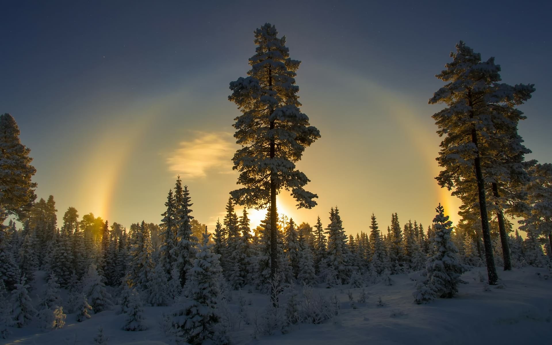 Download Nature Sunbeam HD Wallpaper | 1920x1200 | Wallpaper Abyss