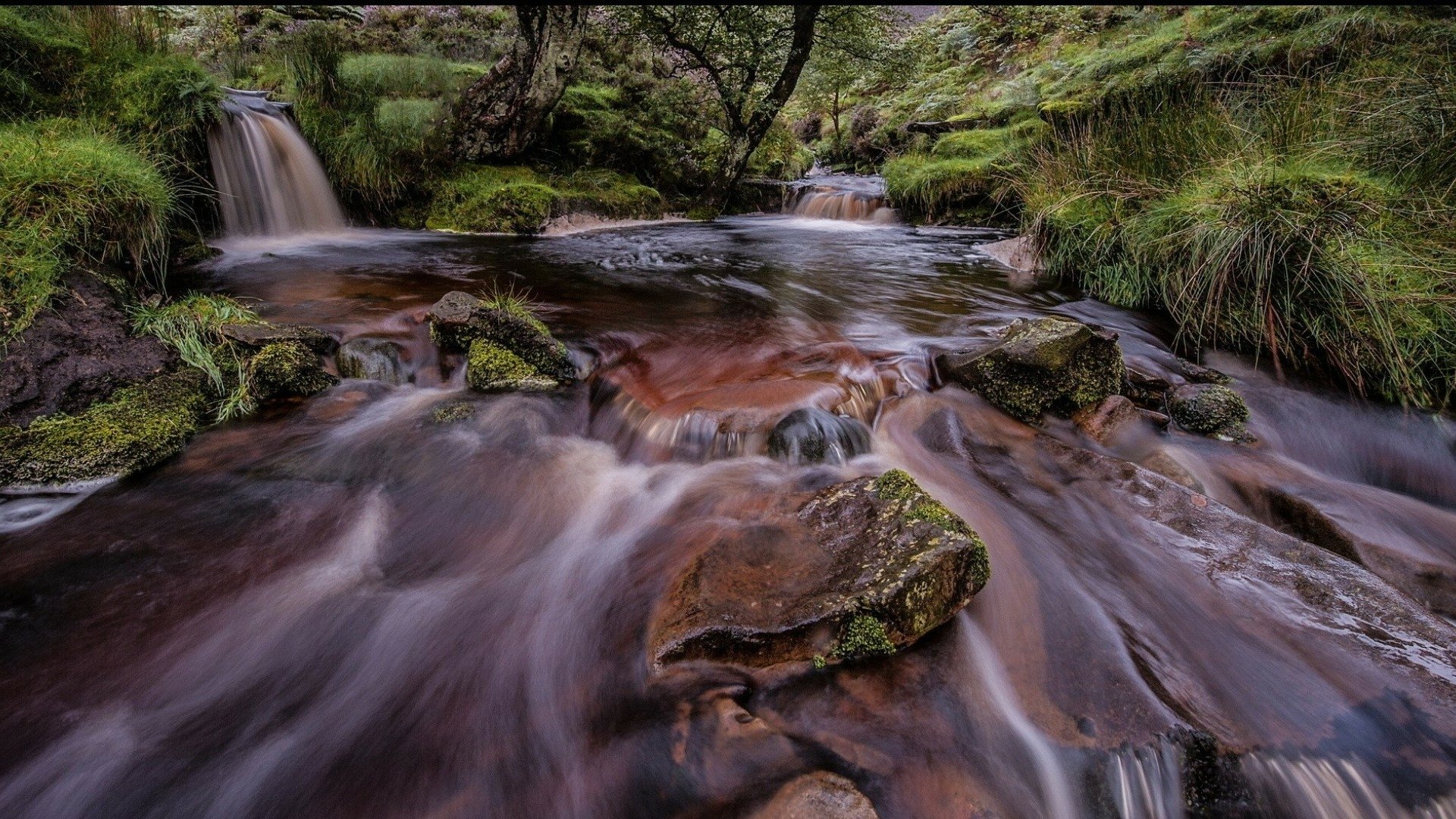 Mossy Woodland Waterfall — HD Nature Wallpaper