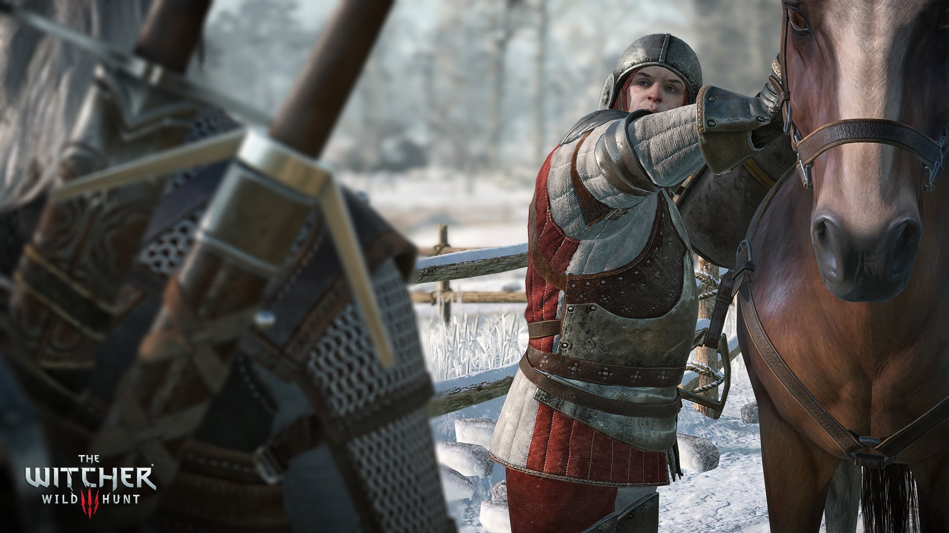 Download The Witcher Video Game The Witcher 3: Wild Hunt HD Wallpaper