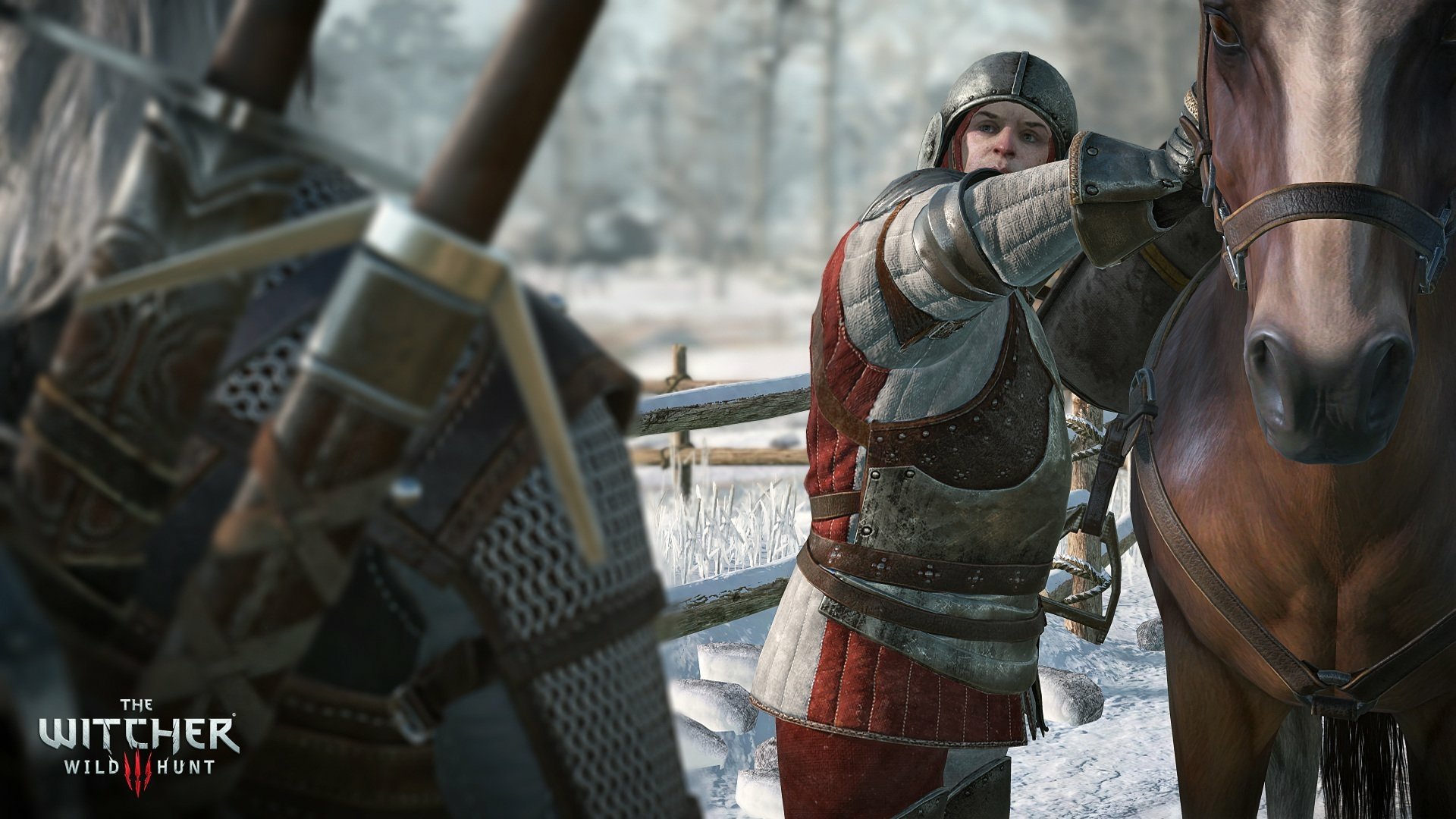 The Witcher 3: Wild Hunt — Snowbound Patrol HD Wallpaper | 1920x1080 ...
