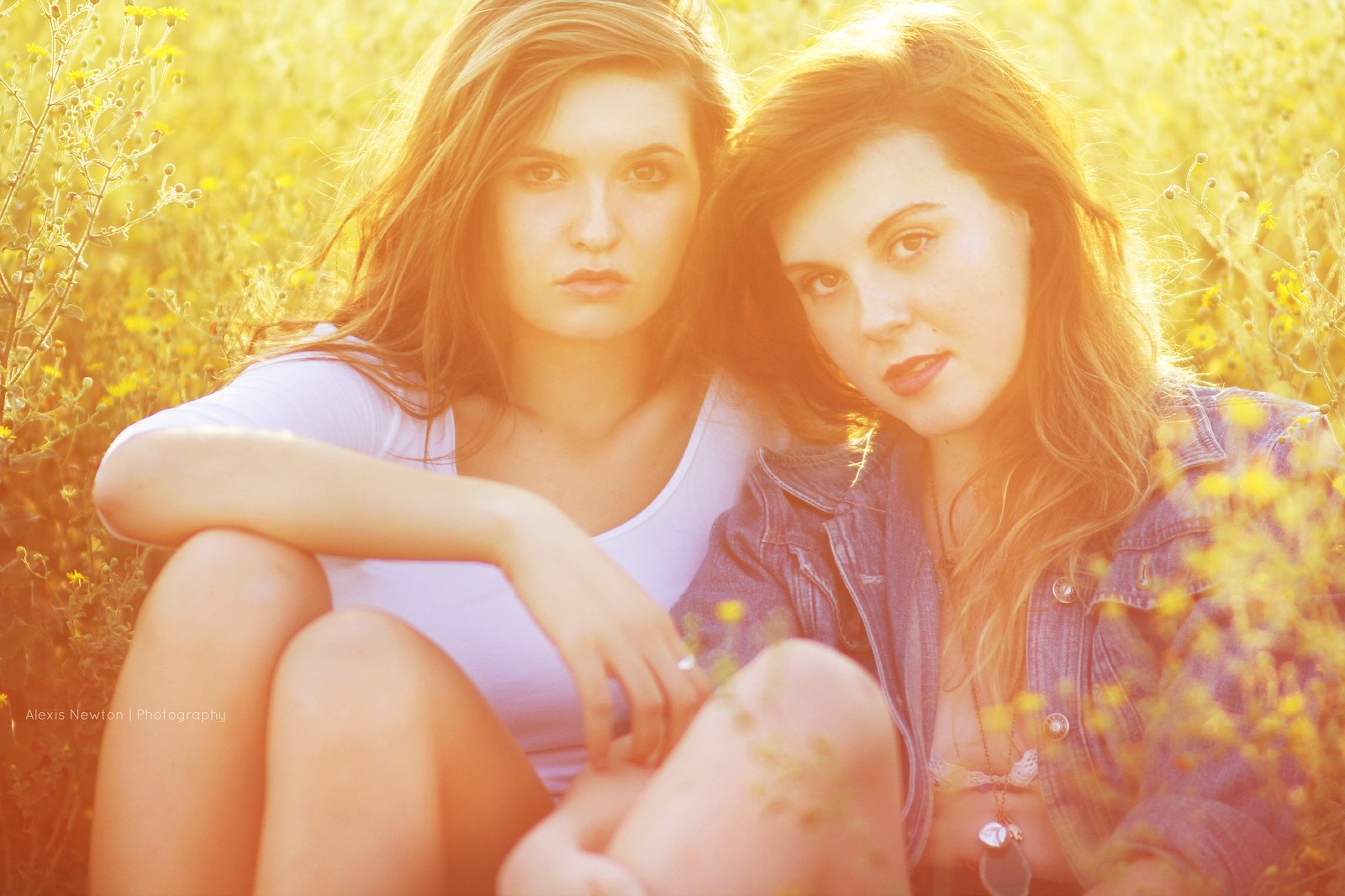 Golden Hour: Women in Love (HD Wallpaper) by aallienewtonn