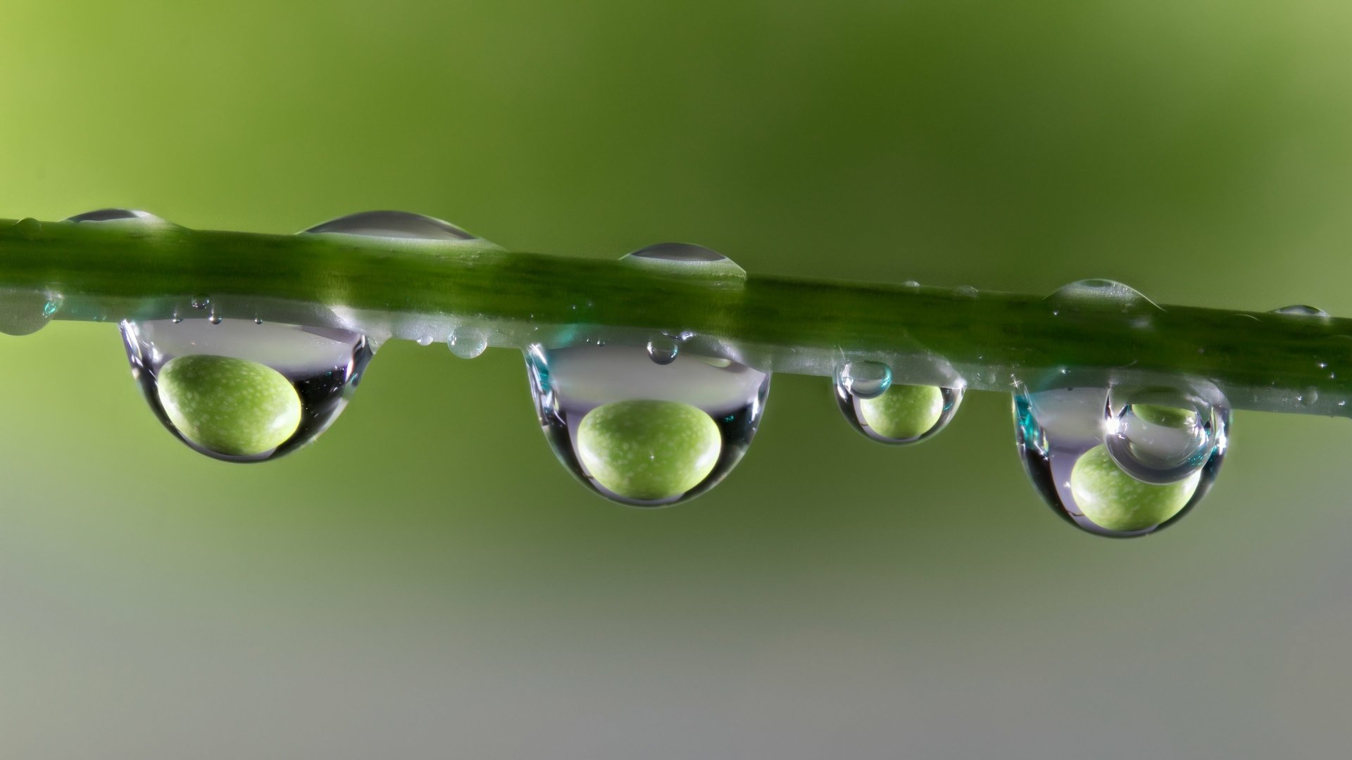 Download Nature Water Drop 4k Ultra HD Wallpaper
