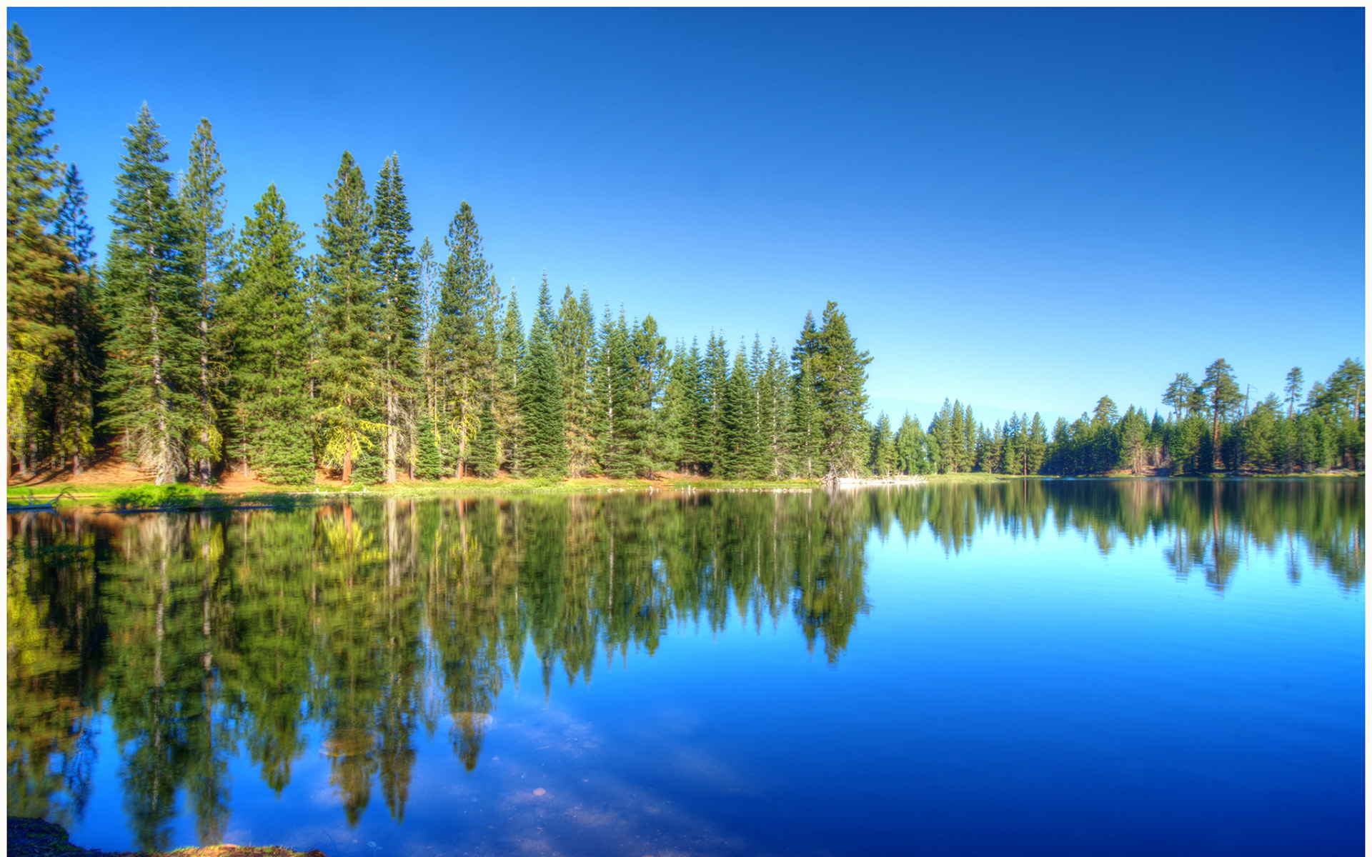 Download Nature Reflection HD Wallpaper